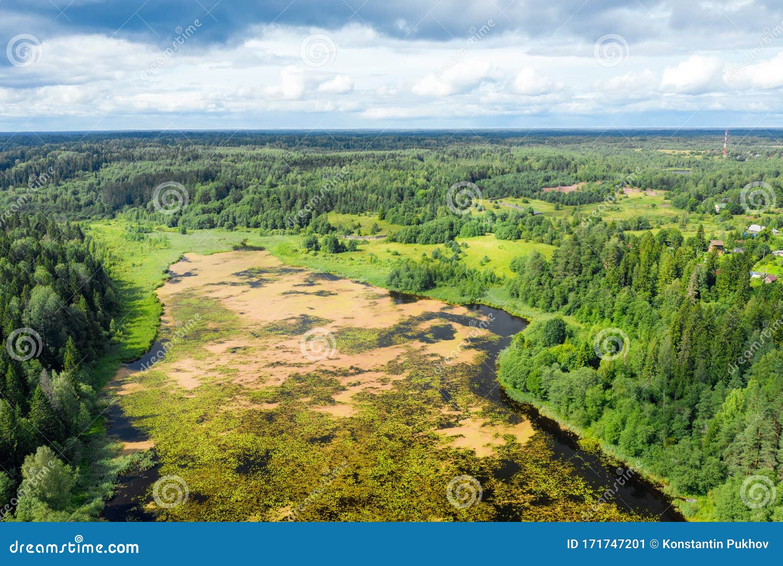 Top View of a Lake Overgrown with Duckweed Stock Image - Image of ...