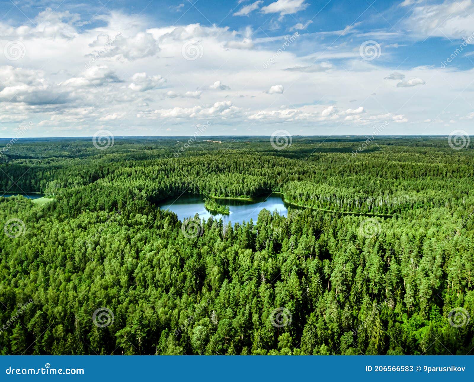 Top view of a forest lake. stock image. Image of lake - 206566583
