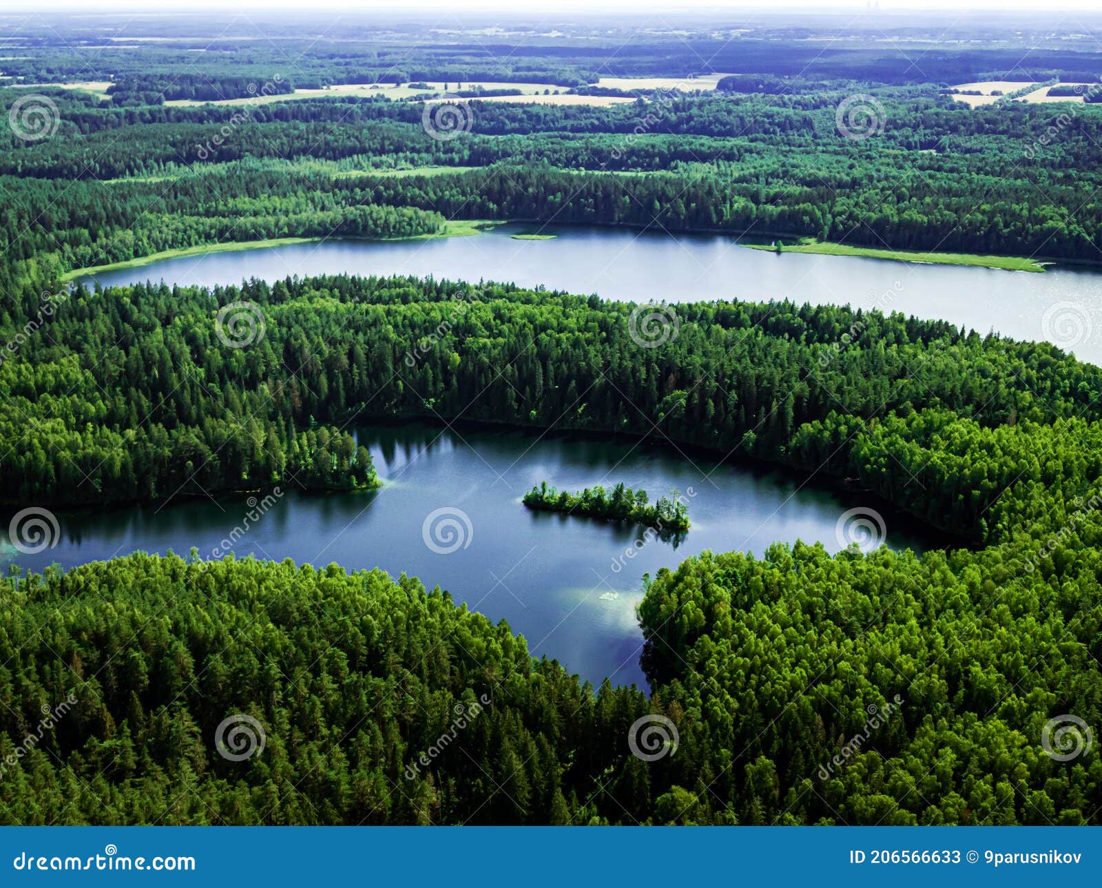 Top view of a forest lake. stock image. Image of aerial - 206566633