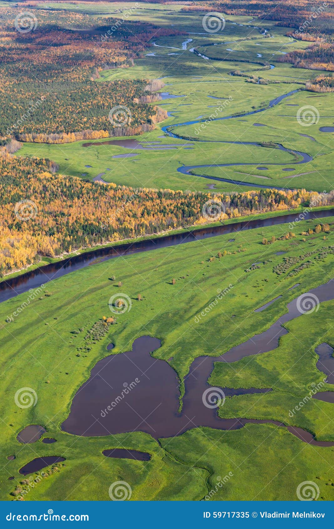 Top View of Forest River in Autumn Stock Image - Image of nature, green ...