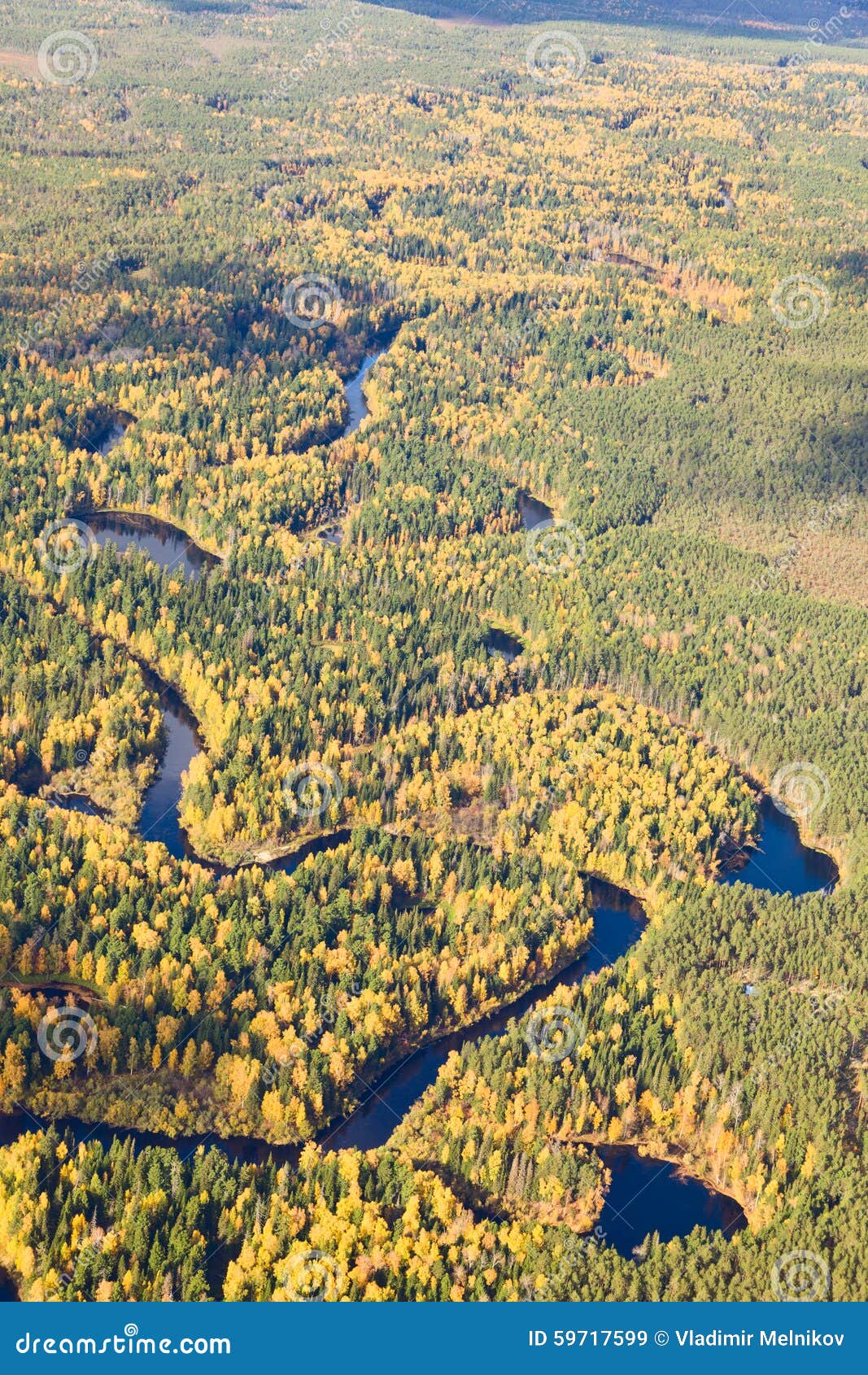 Top View of Forest River in Autumn Stock Image - Image of aerial ...