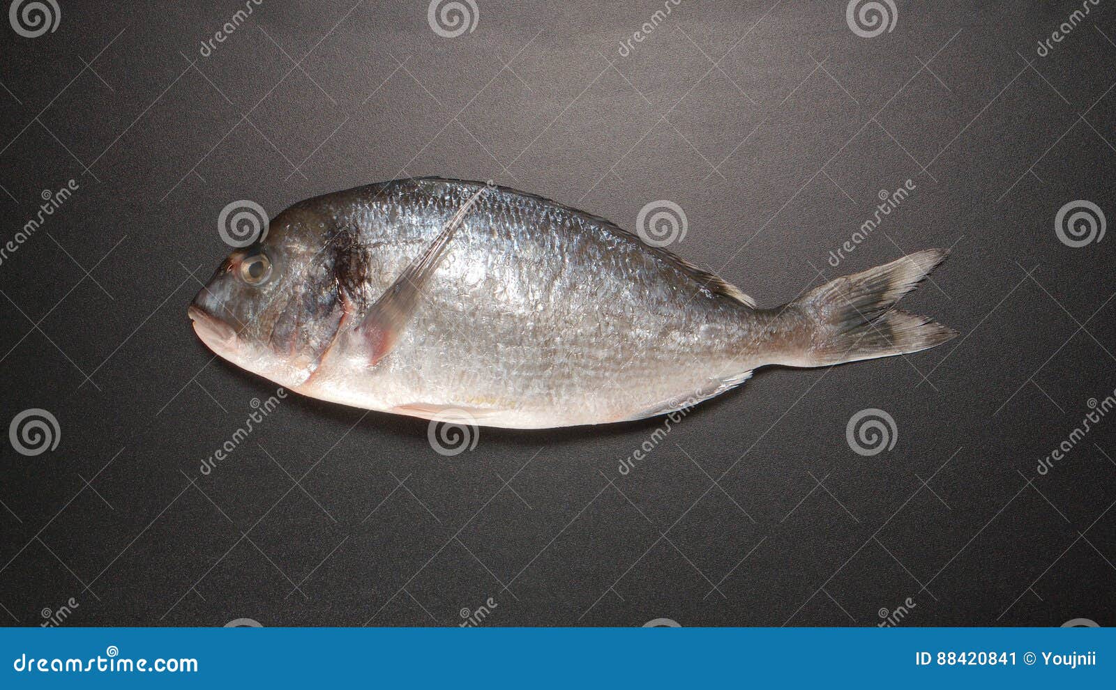 Fresh Dorade Sea Bream Fish Fillets With Ice On Market, Close-up ...