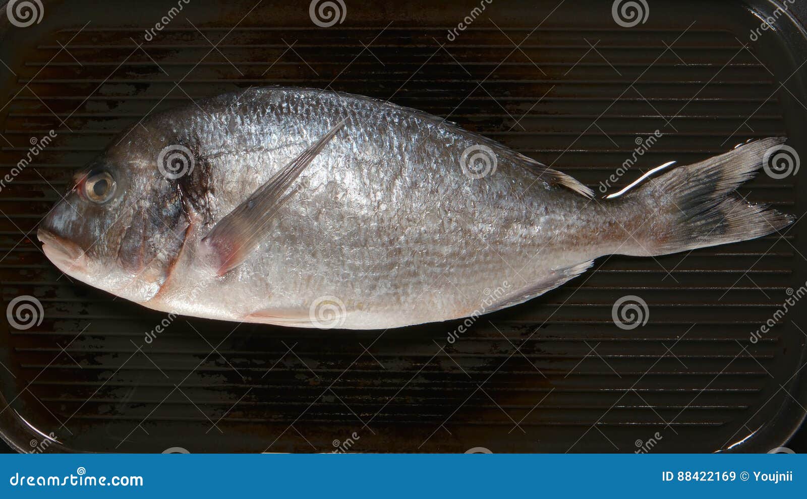 Fresh Dorade Sea Bream Fish Fillets With Ice On Market, Close-up ...