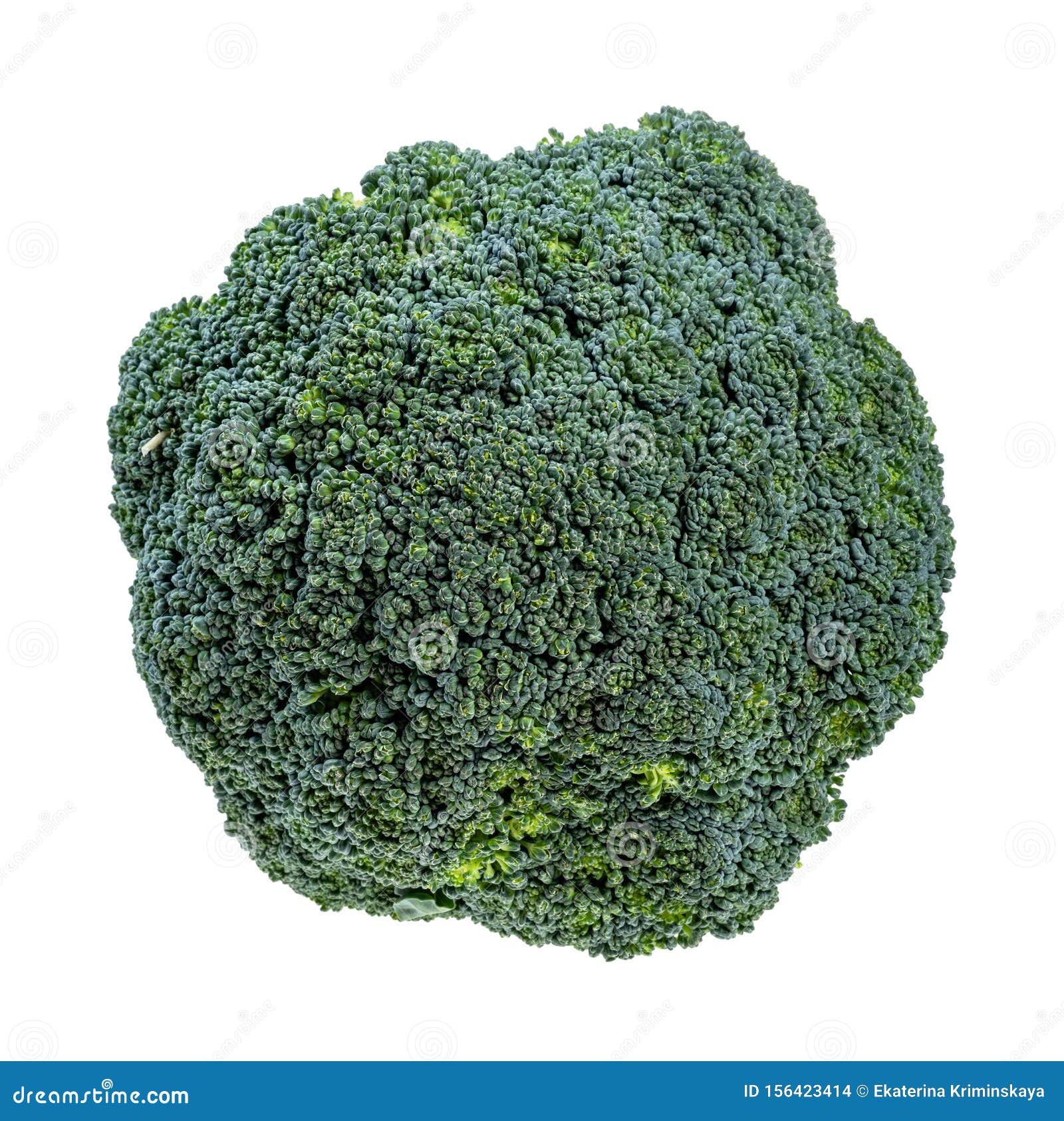 Top View of Fresh Green Broccoli Cutout on White Stock Photo - Image of ...
