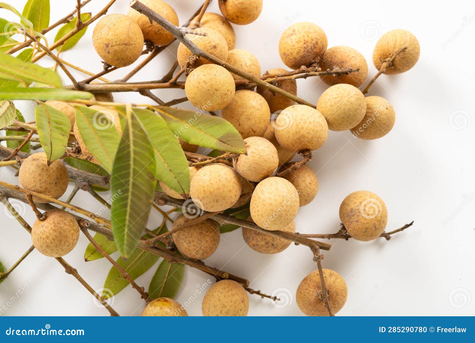 Top View Fresh Longan with Leaves on White Background Stock Photo ...