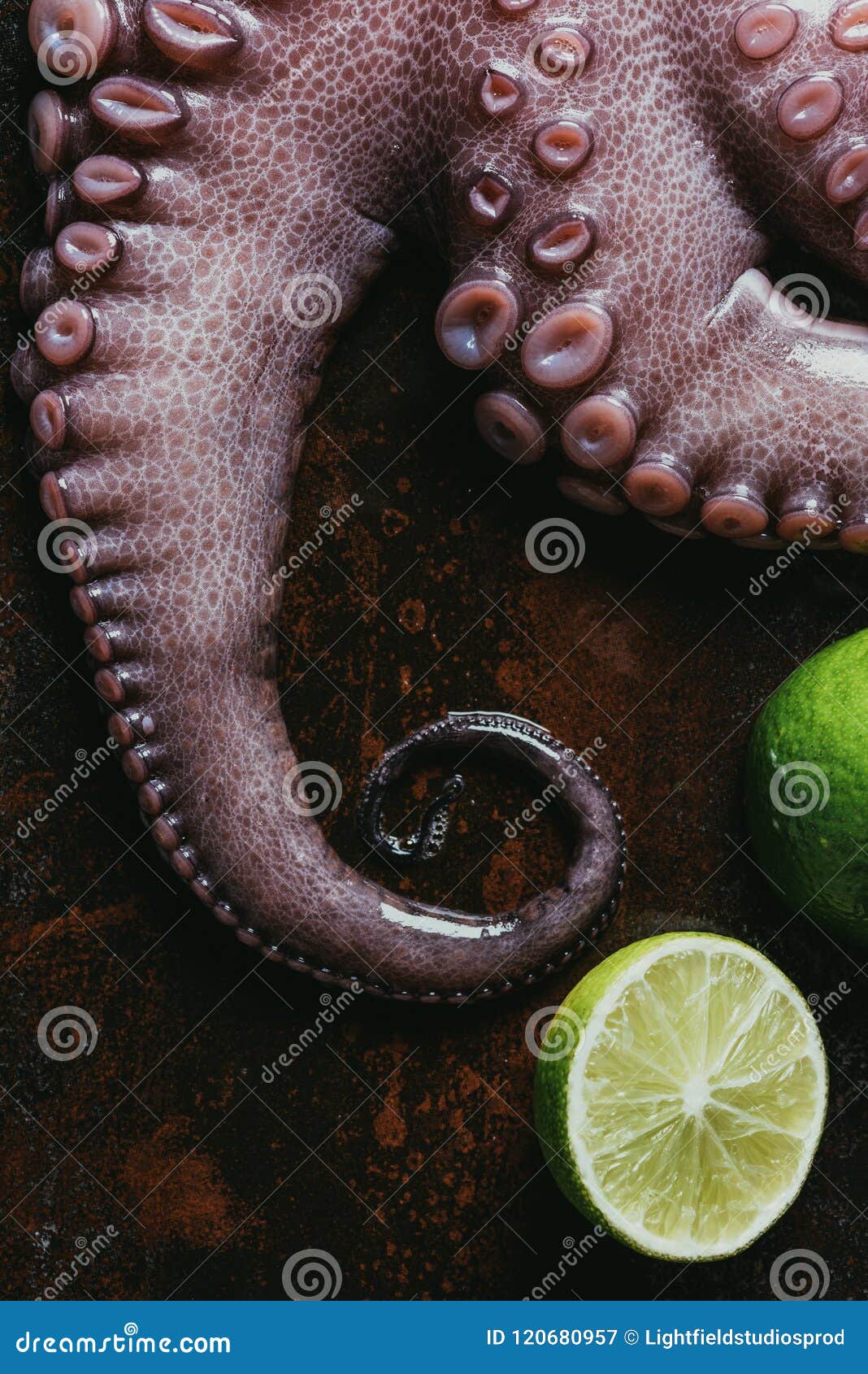 Top View of Fresh Octopus with Limes Stock Image - Image of culinary ...