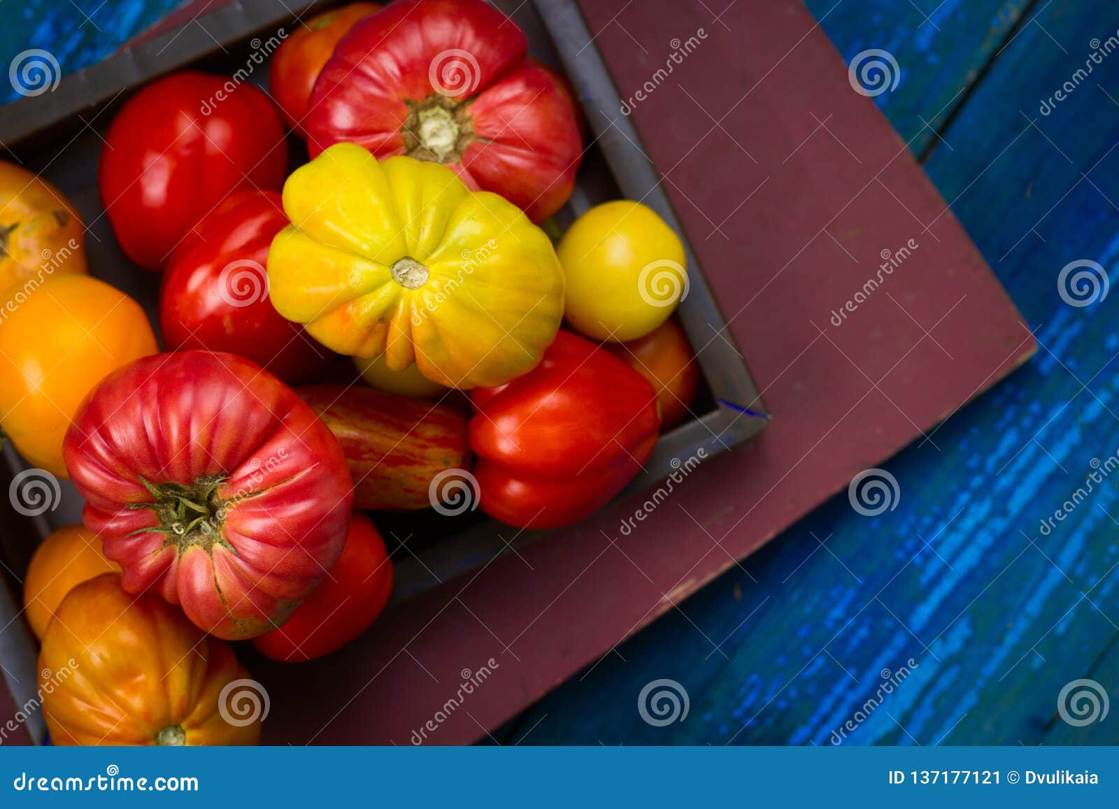 Fresh Organic Tomatoes from Farm Stock Image - Image of organic ...