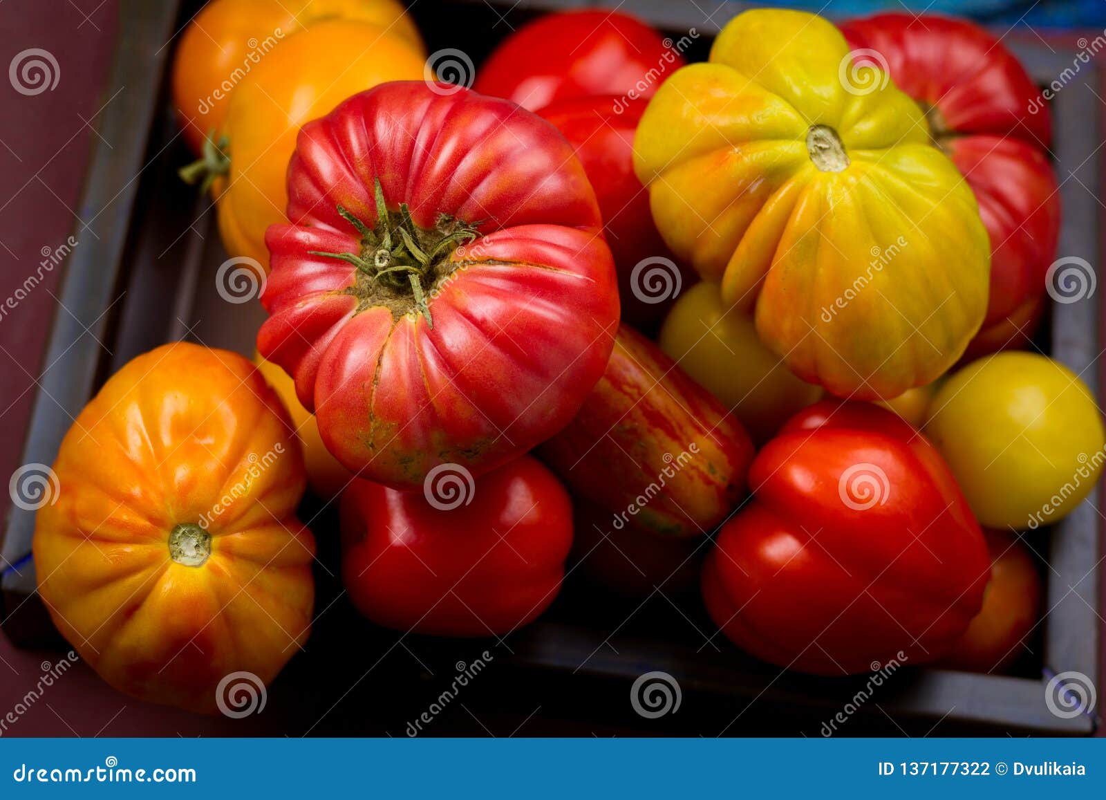 Fresh Organic Tomatoes from Farm Stock Photo - Image of tomatoe, path ...