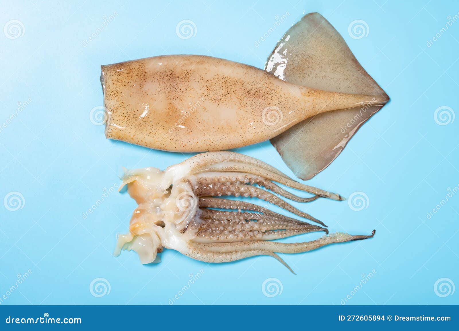 Top View Fresh Raw Squid on Blue Background Stock Photo - Image of ...