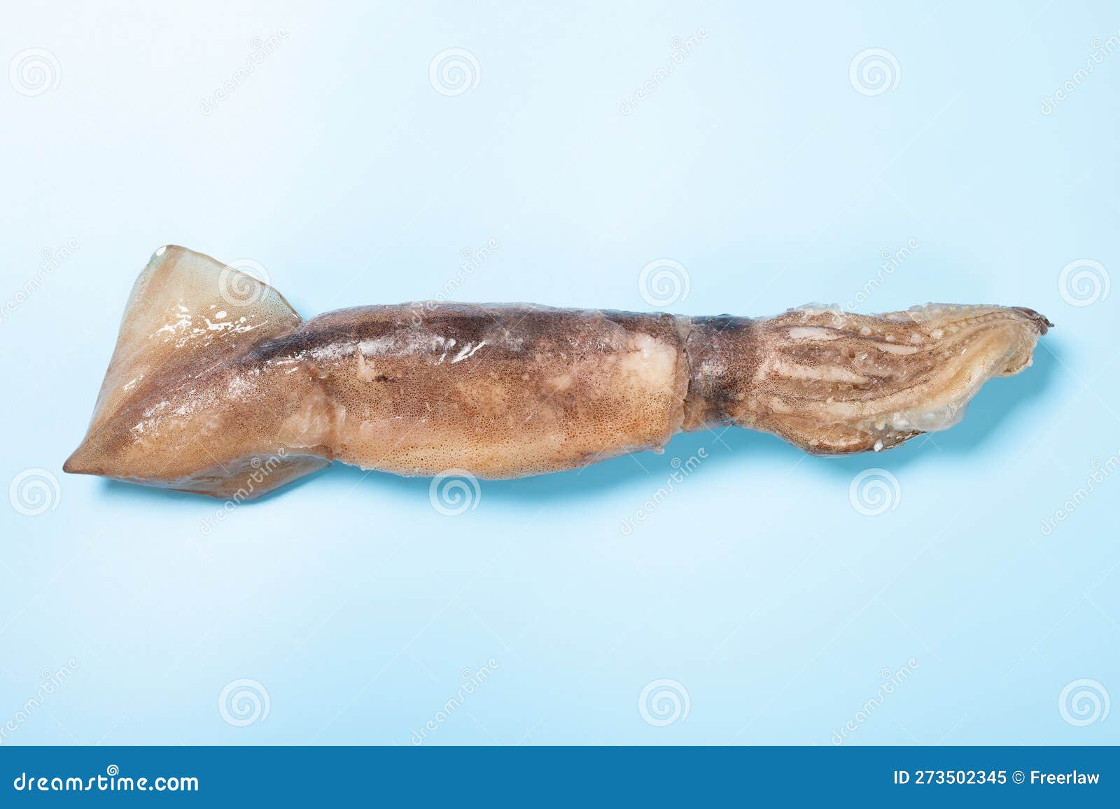 Fresh Raw Squid on Blue Background Stock Image - Image of meat ...