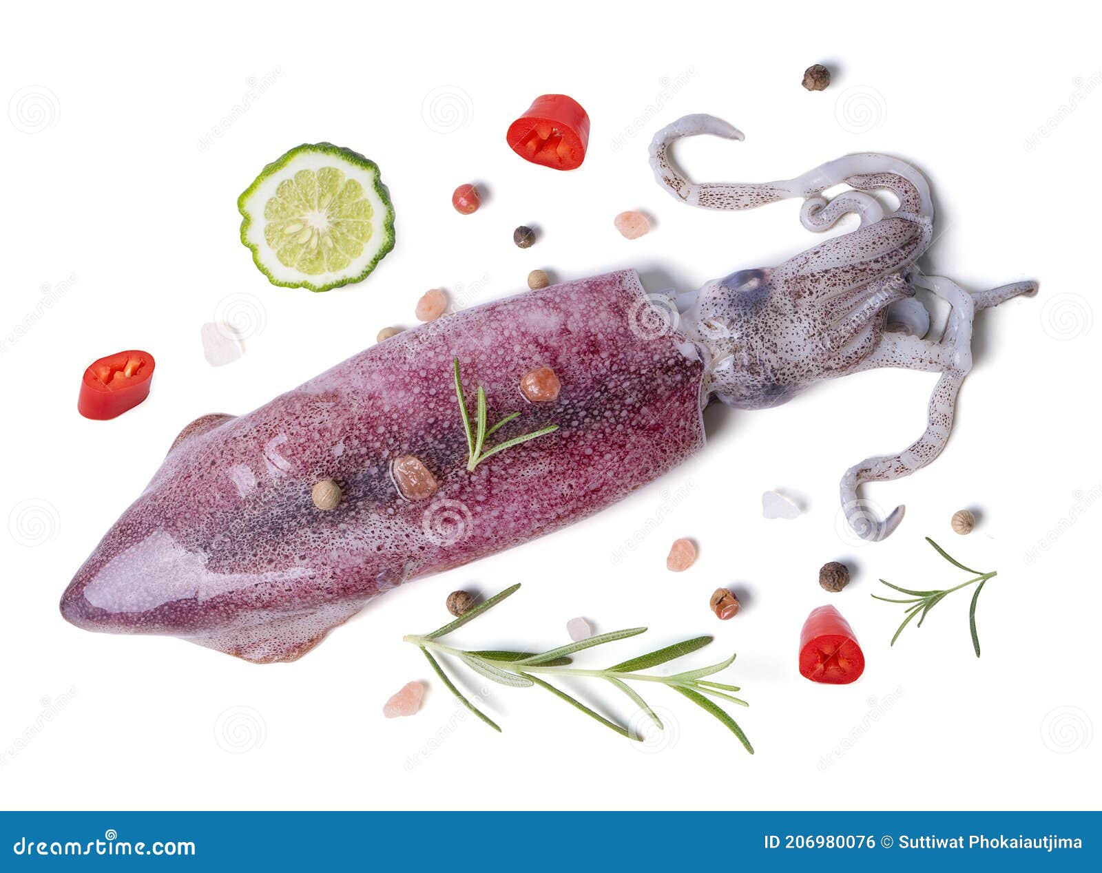 Top View Fresh Squid with Spices Stock Photo - Image of calamari ...