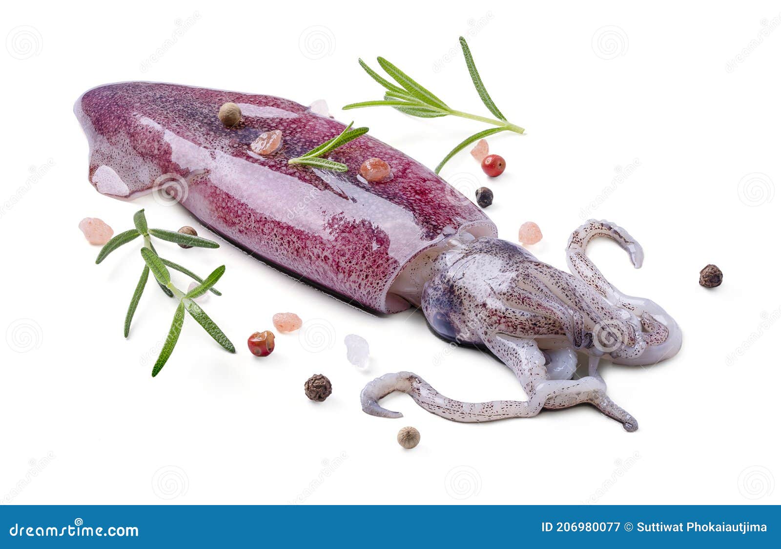 Top View Fresh Squid with Spices Stock Image - Image of fish, uncooked ...