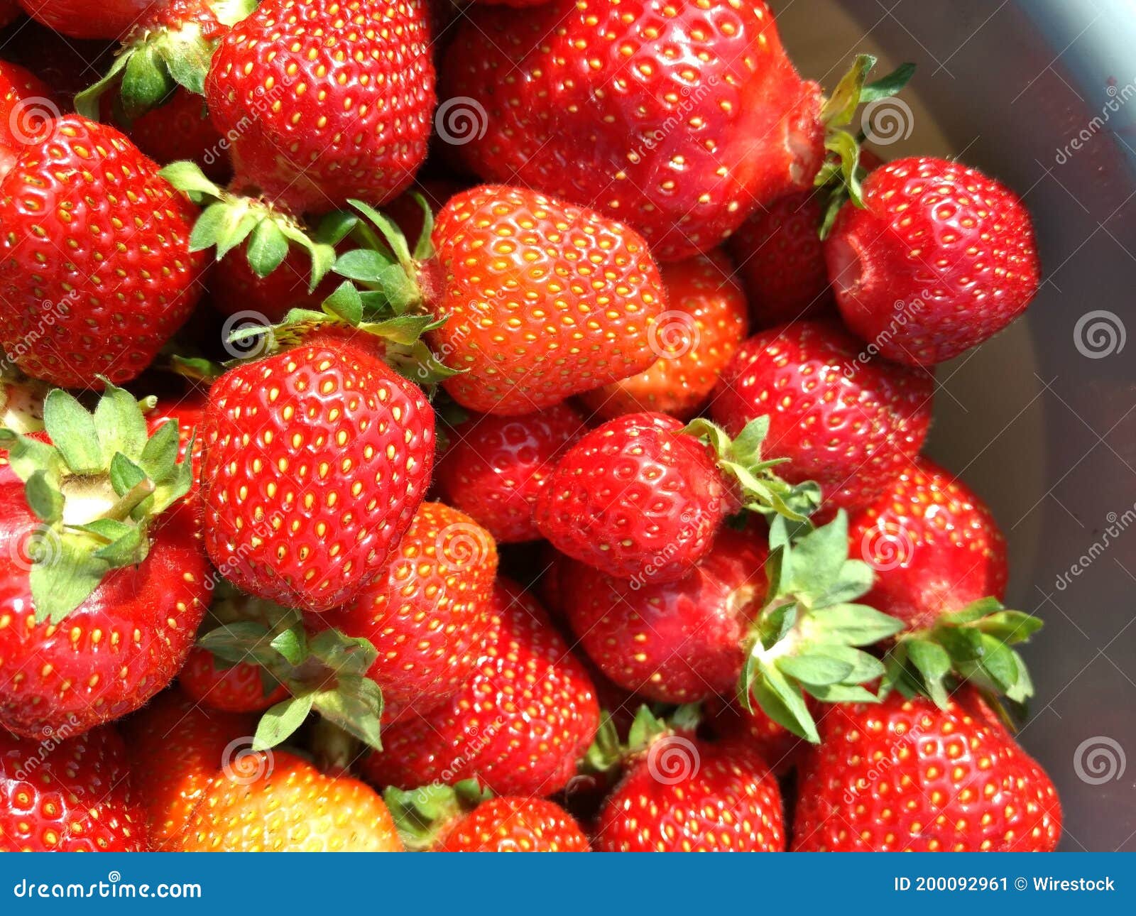 Top View of Fresh Strawberries Stock Image - Image of summer, natural ...