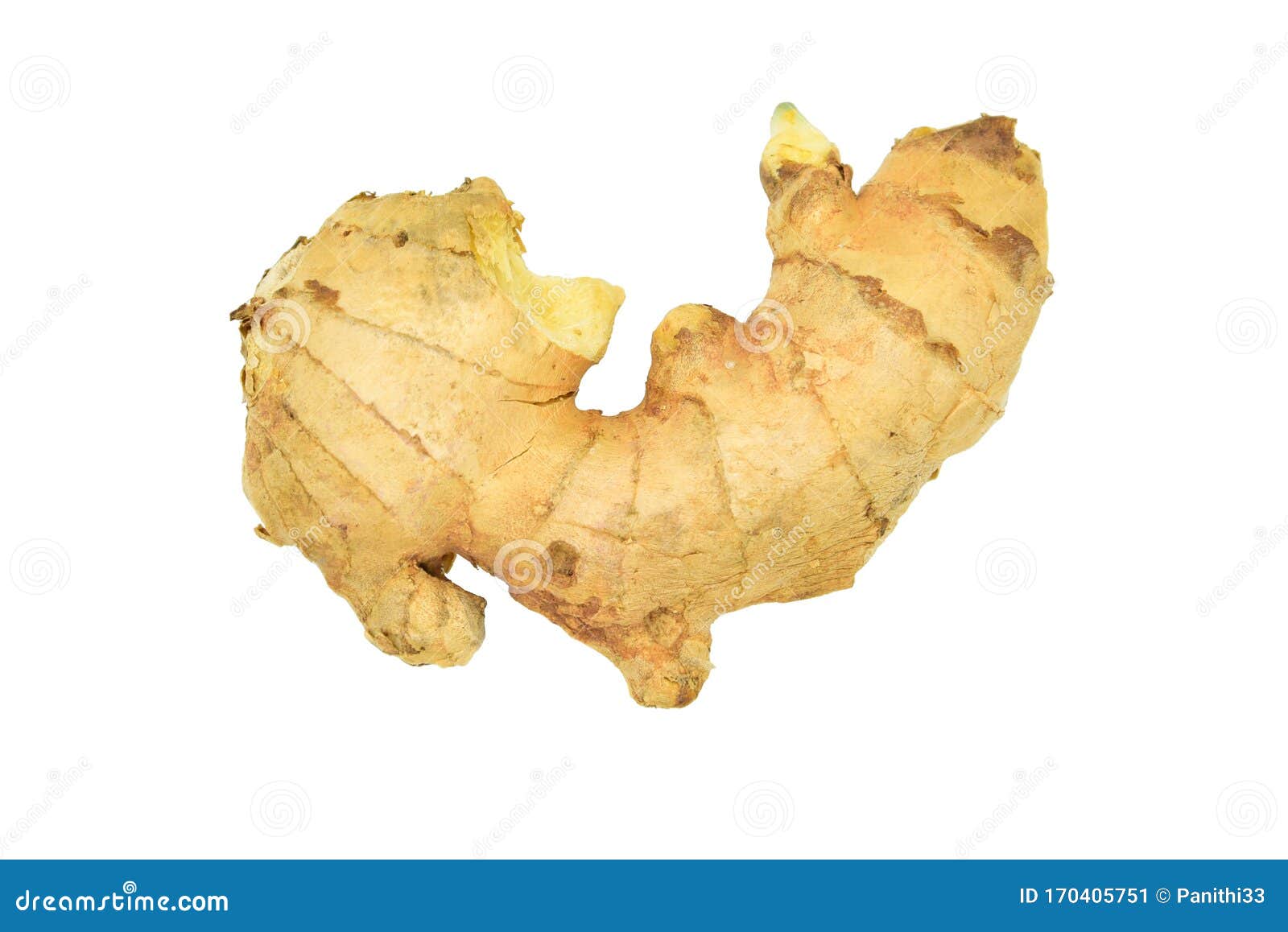 Fresh Ginger Isolated on White Background Stock Image - Image of ...