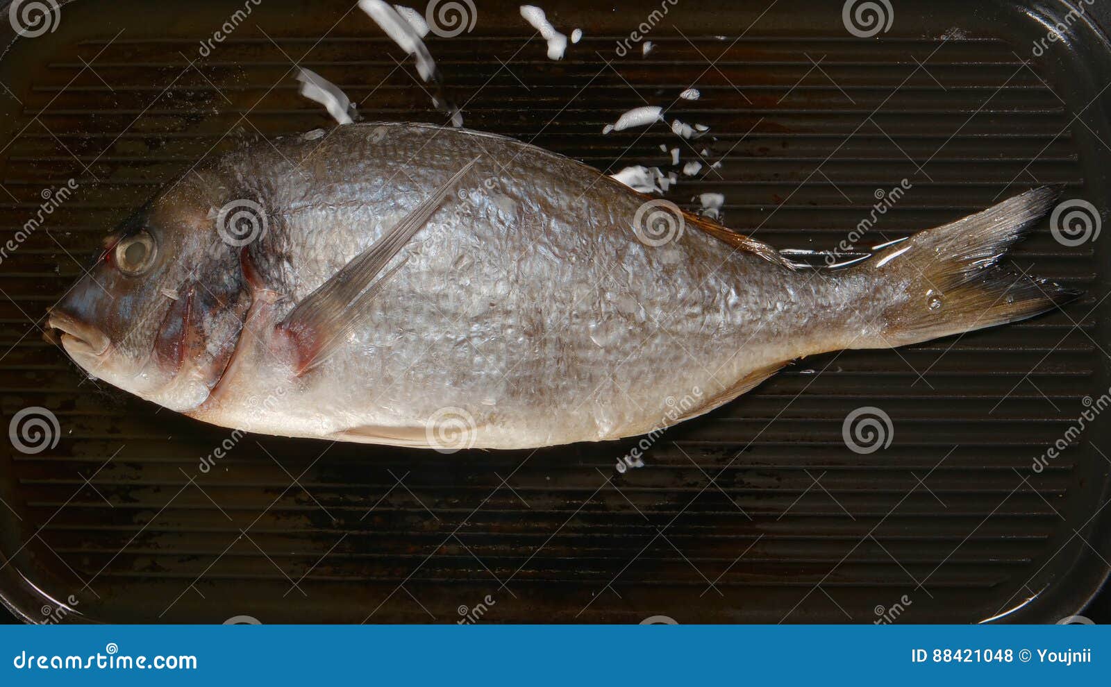 TOP VIEW: Frying Dorade Fish on a Pan Stock Photo - Image of aurata ...