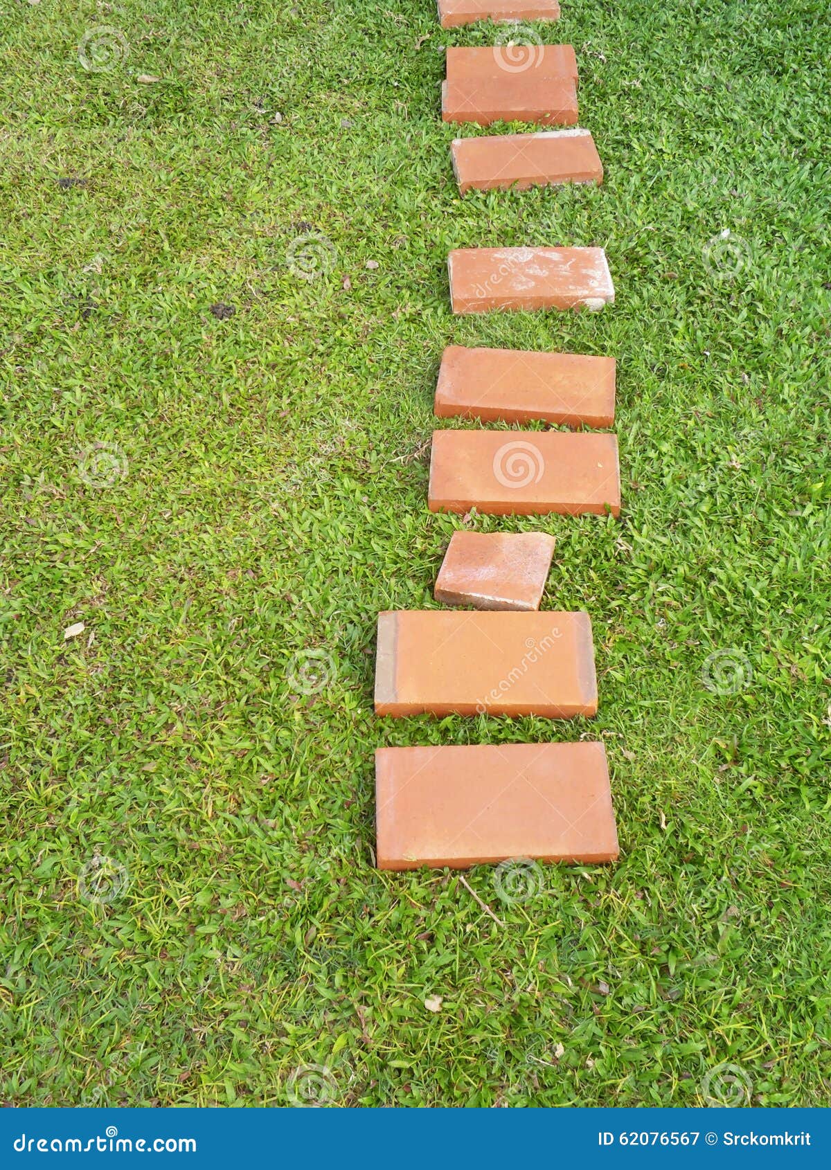 Top view of garden pathway stock image. Image of grass - 62076567
