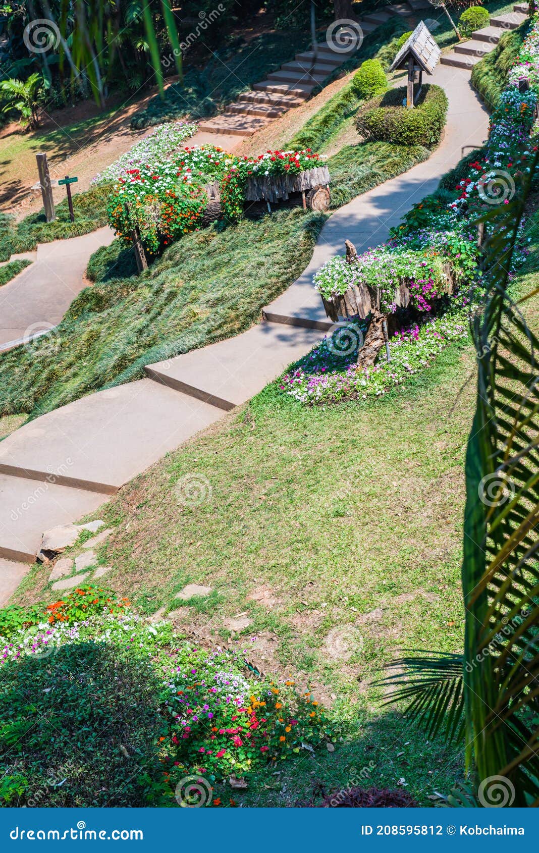 Top view of garden stock photo. Image of backyard, architecture - 208595812