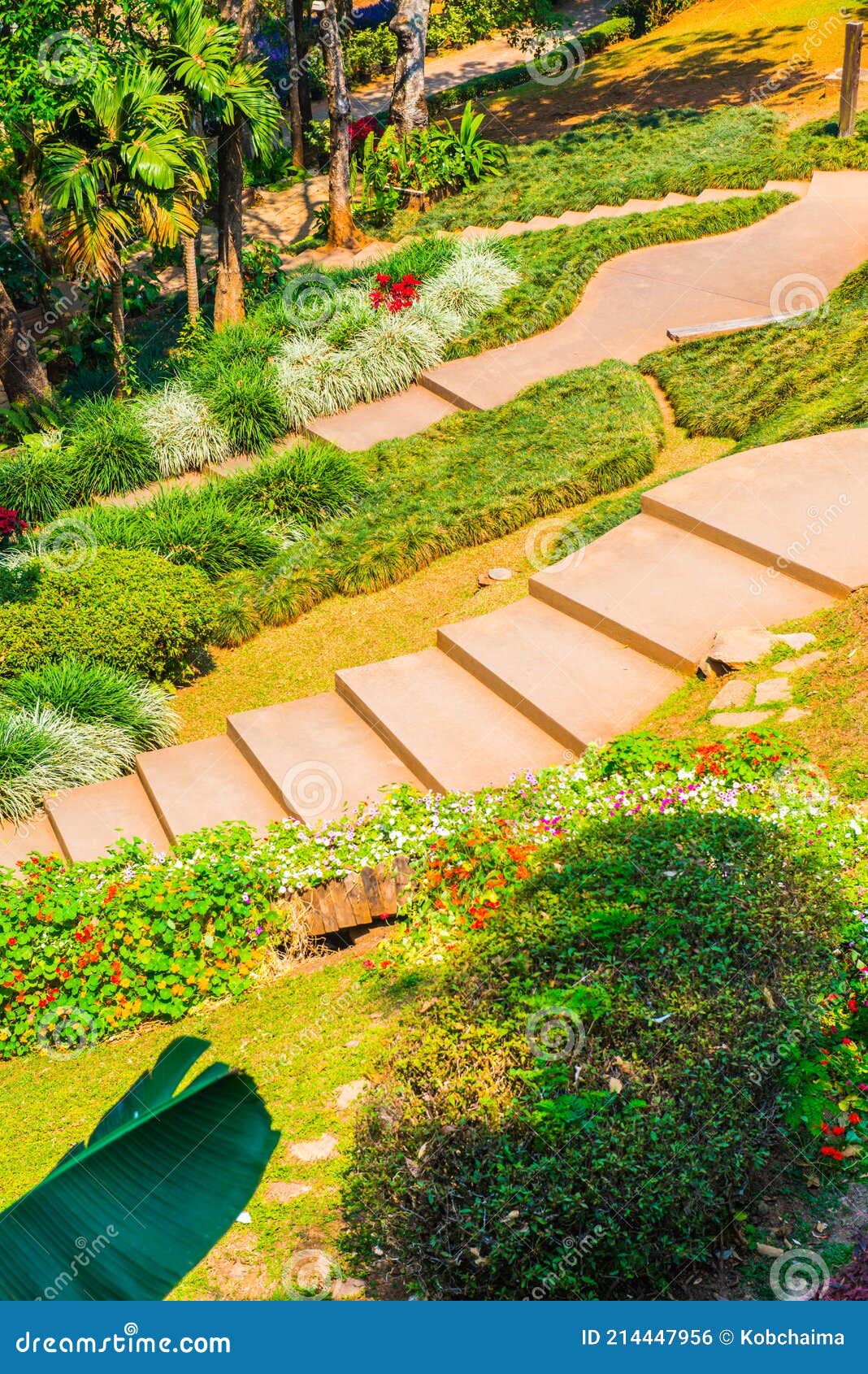 Top view of garden stock photo. Image of landscape, garden - 214447956