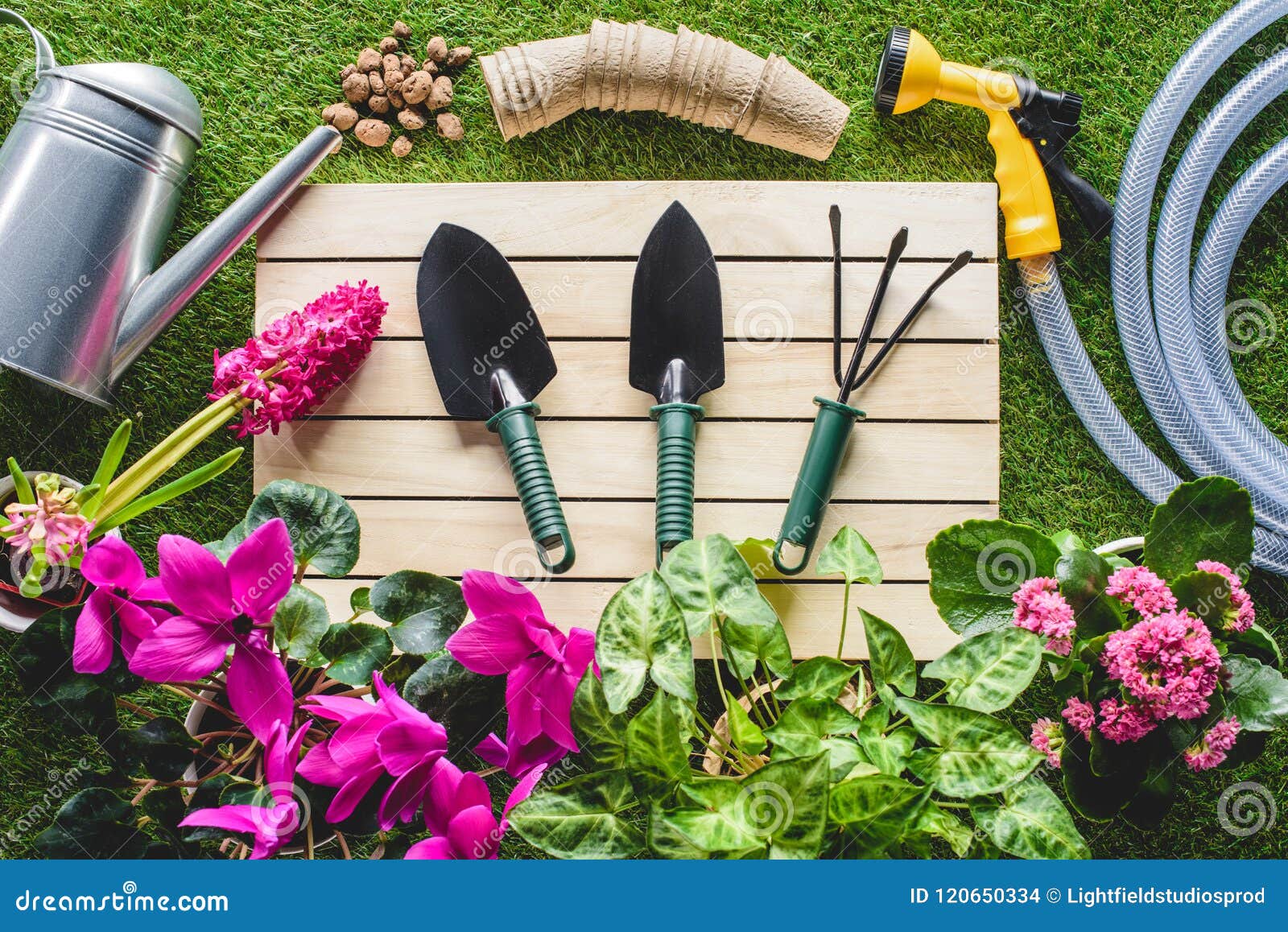 Top View of Gardening Equipment and Flowers Stock Photo - Image of ...