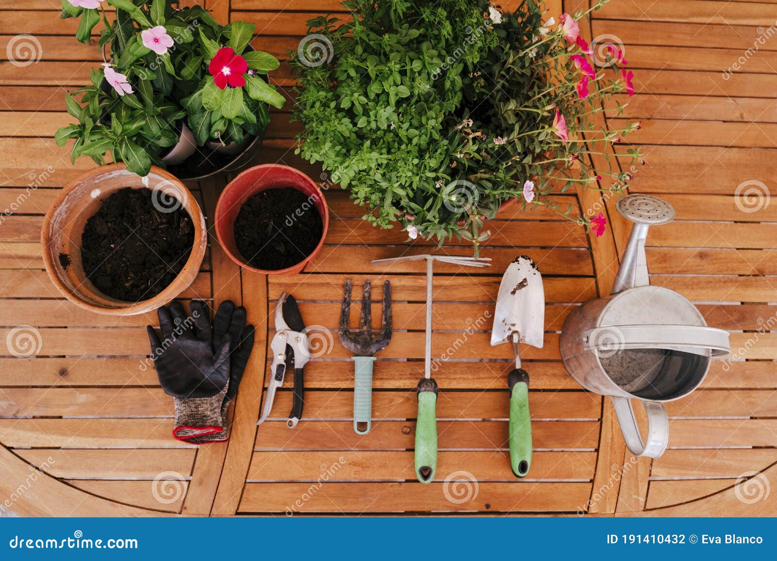 Top View of Gardening Tools on a Wooden Table Stock Photo - Image of ...