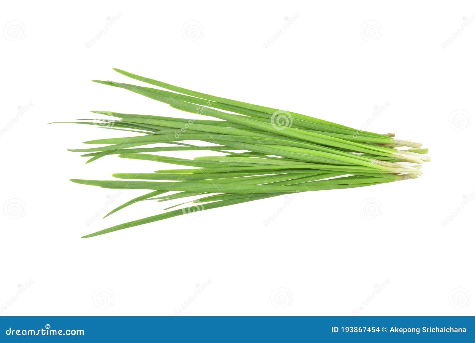 Top View of Garlic Chives Isolated on White Background Stock Photo ...