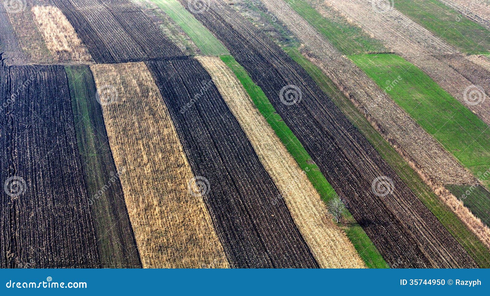 Top View of Geometrical Crops Stock Photo - Image of yellow, high: 35744950
