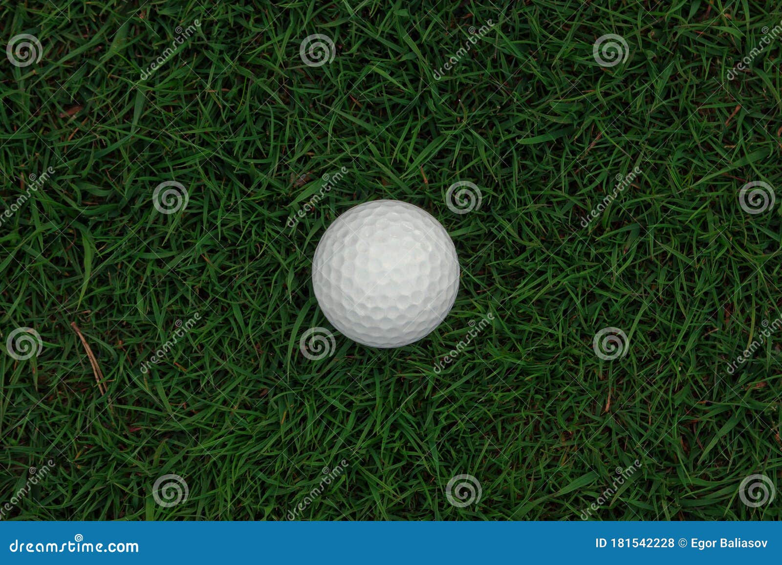 Top View of a Golf Ball is on Green Grass Stock Photo - Image of ...