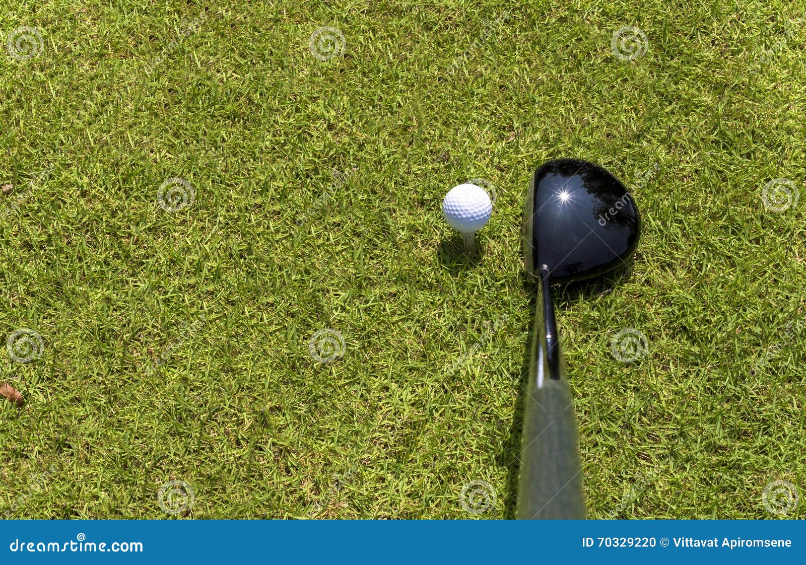 Top View of Golf Driver and Ball on Tee Stock Photo - Image of view ...