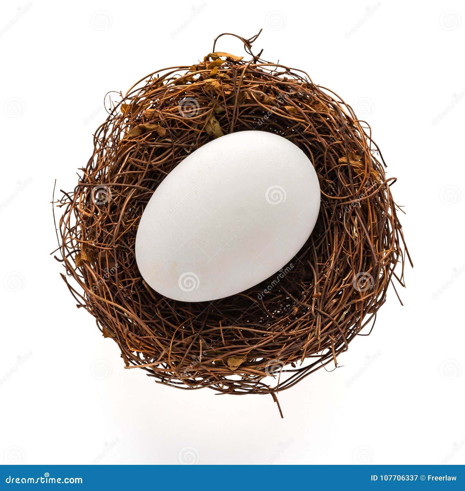 Top View Goose Egg on Nest on White Stock Image - Image of animal ...