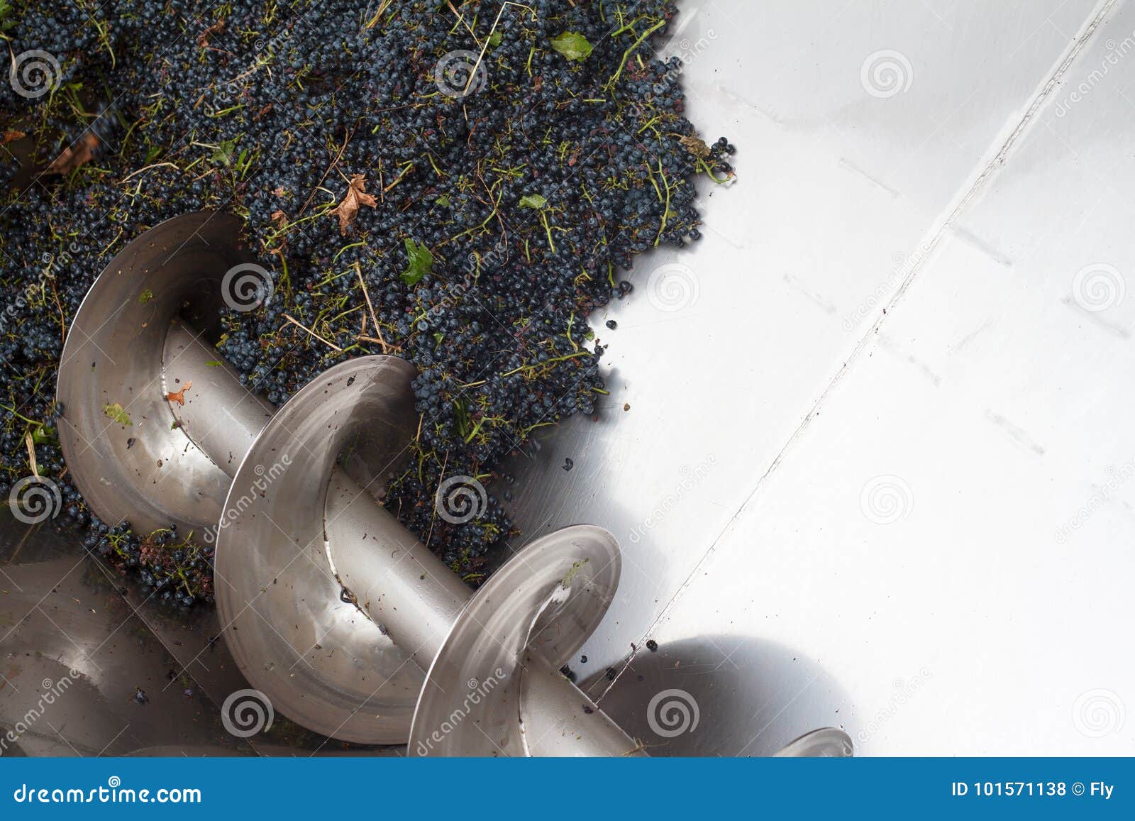 Grape Processing with a Machine Stock Photo - Image of france, europe ...