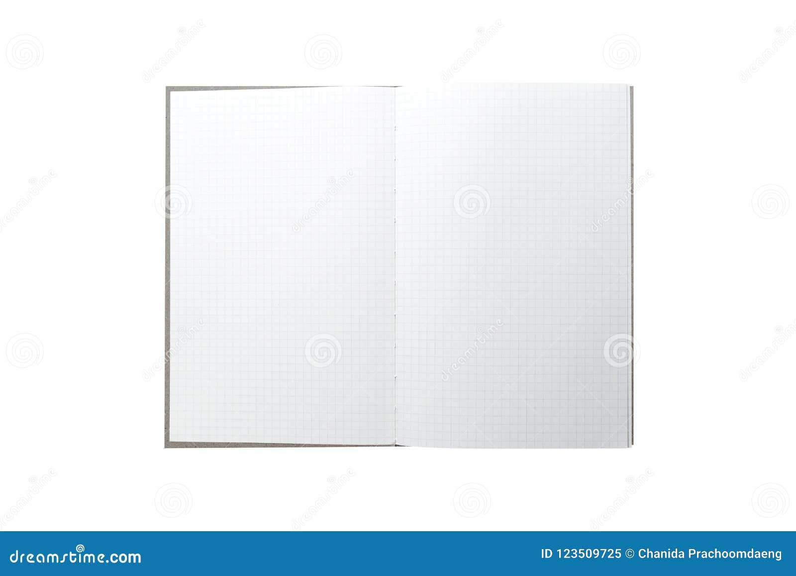 Graph Book Open, Grid Chart For Notes Or Statistics . Stock Photography ...
