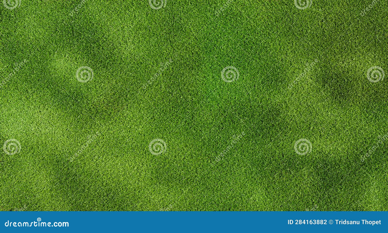 Top View Grass Field Hight Quality Grass Fields Stock Illustration Illustration Of Field