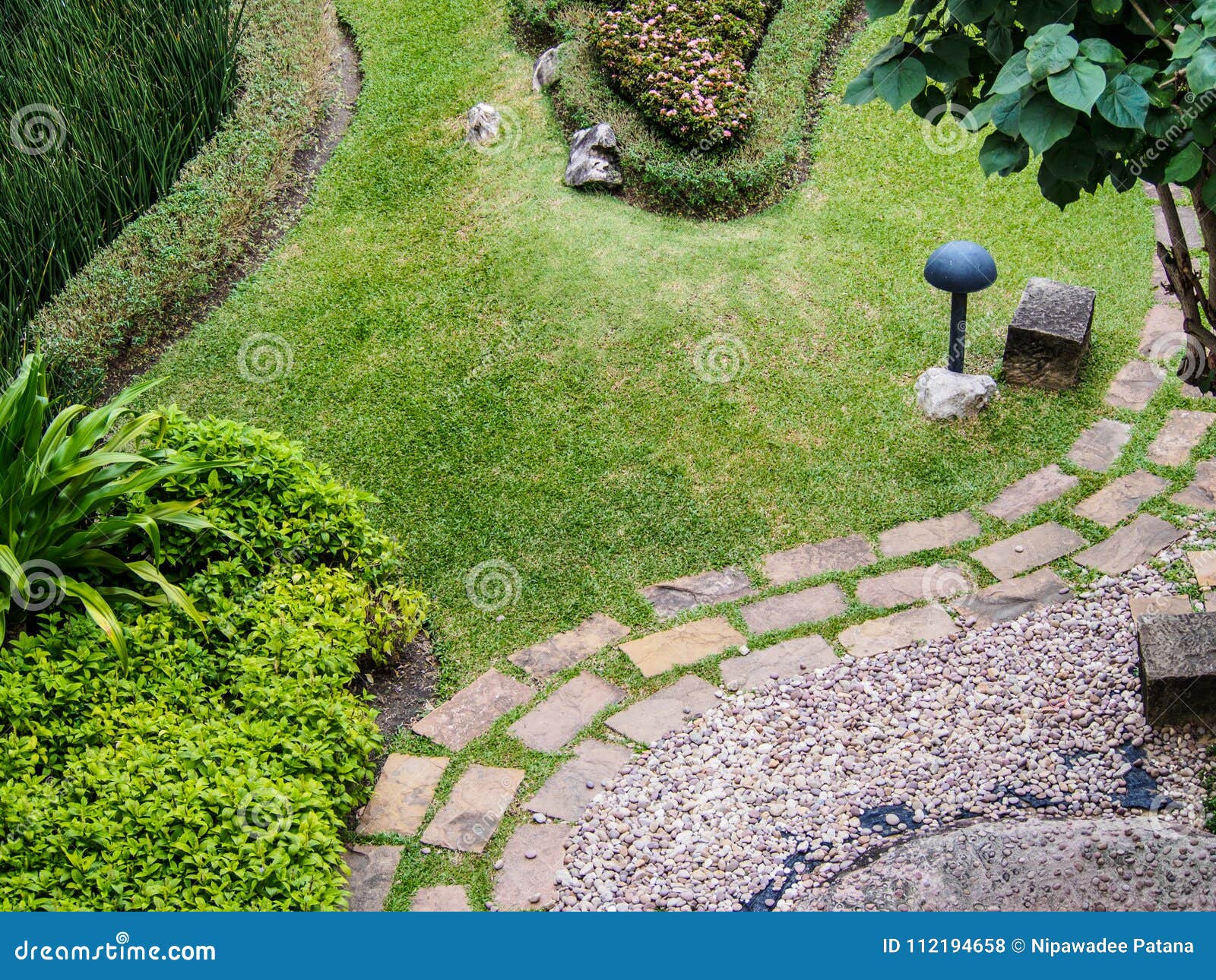 Top View of Grass Field and Tree Stock Photo - Image of flora ...