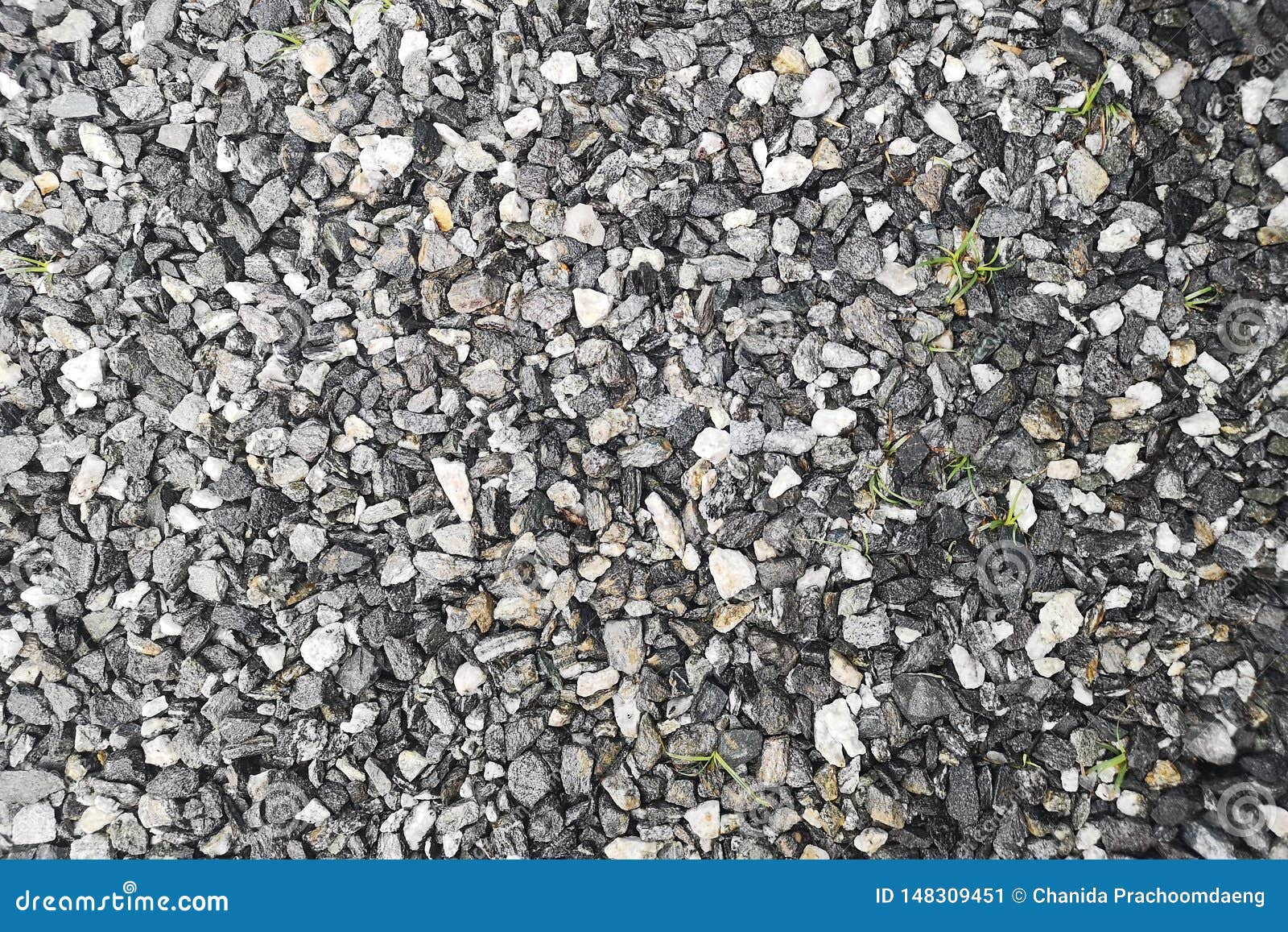 Top View of Gray Grit Crushed Stone Texture ,the Grass Grows because ...