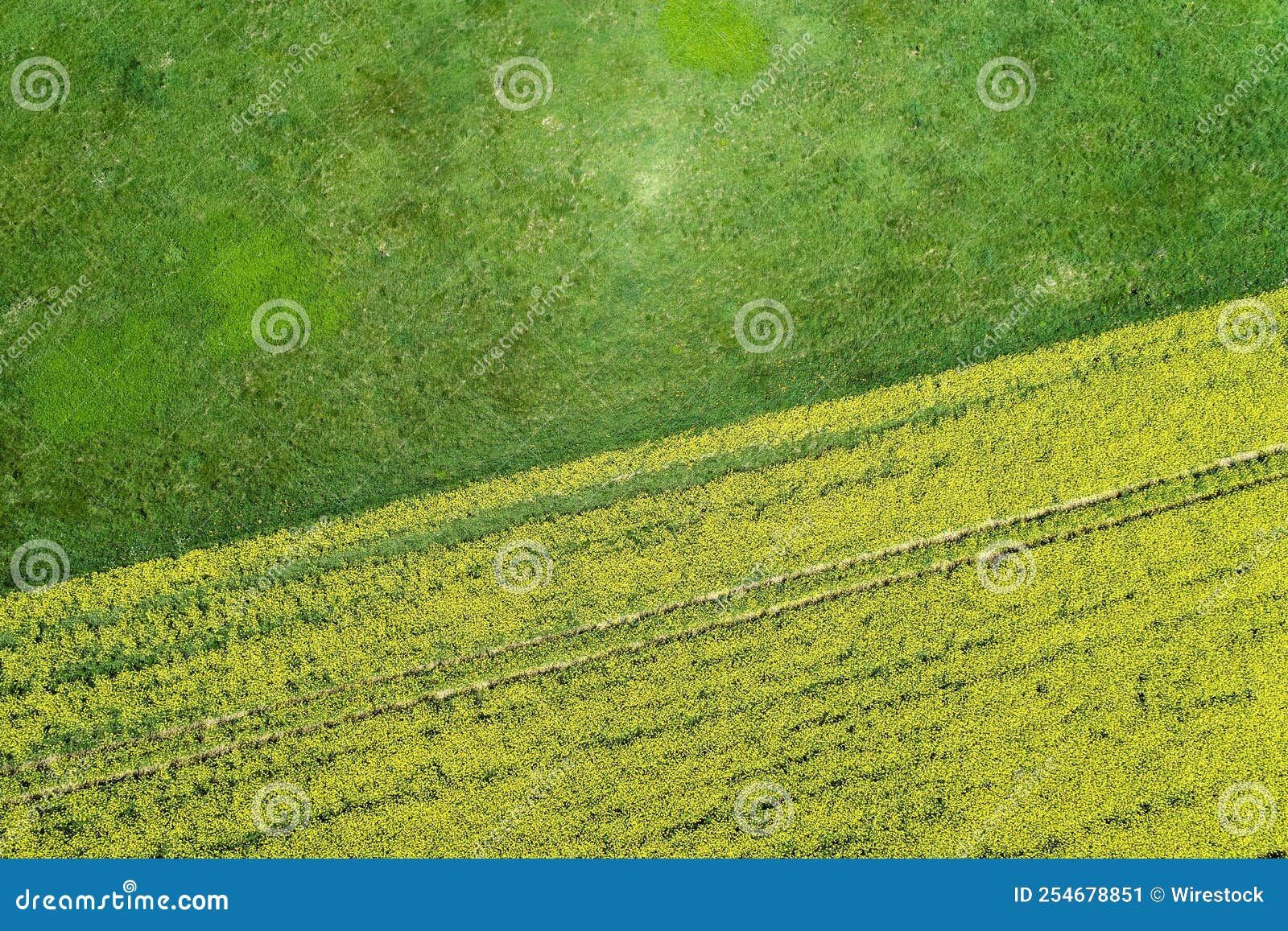 Top View of a Green Agricultural Field Stock Image - Image of season ...