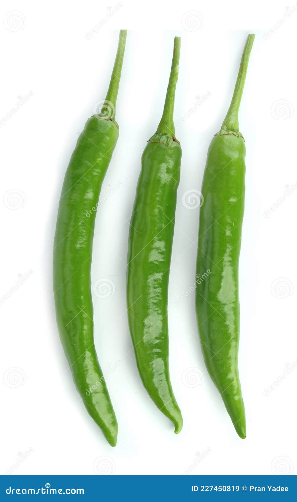 Top View of Green Chili Isolated on White Background Stock Image ...