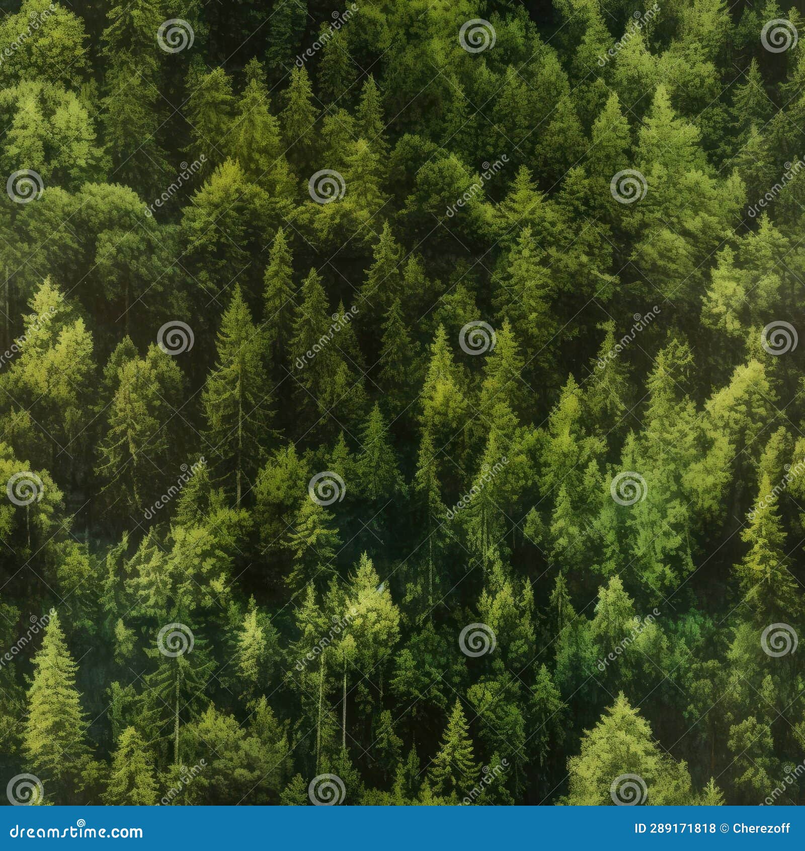Top View of the Green Forest Stock Photo - Image of wild, jungle: 289171818