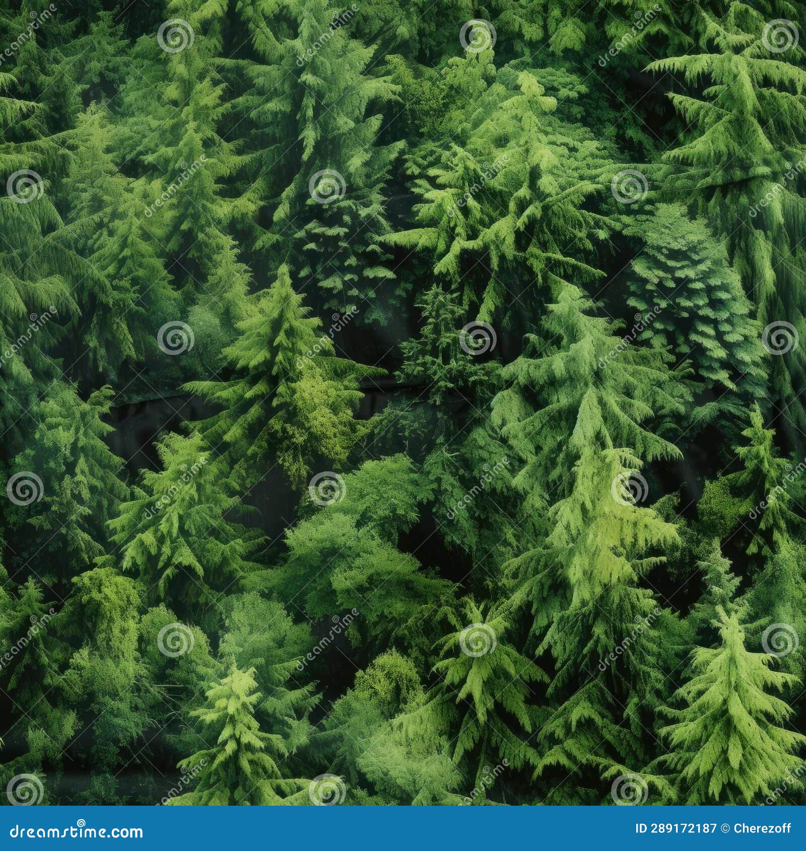 Top View of the Green Forest Stock Image - Image of wallpaper, green ...