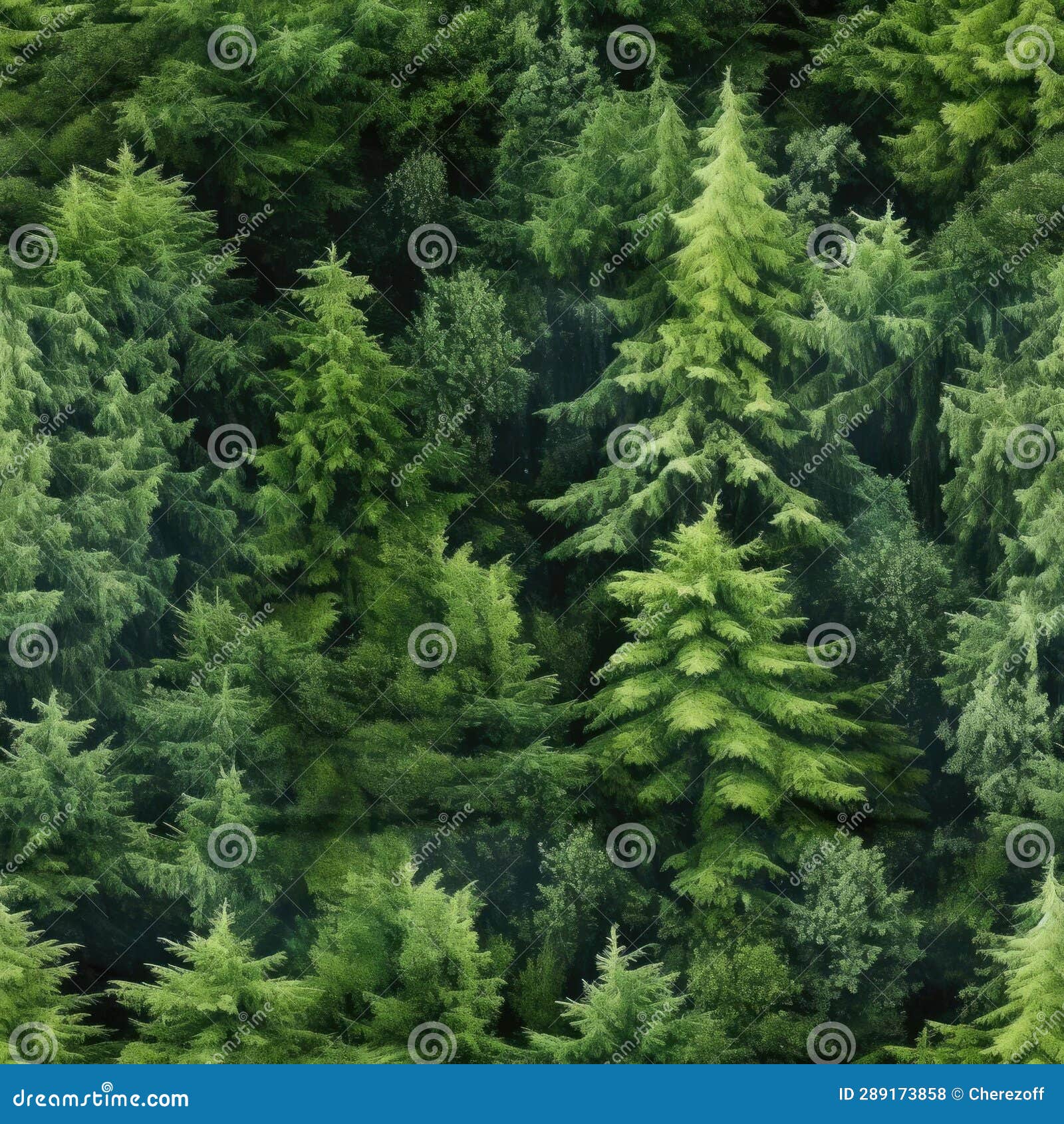 Top View of the Green Forest Stock Photo - Image of thicket, park ...