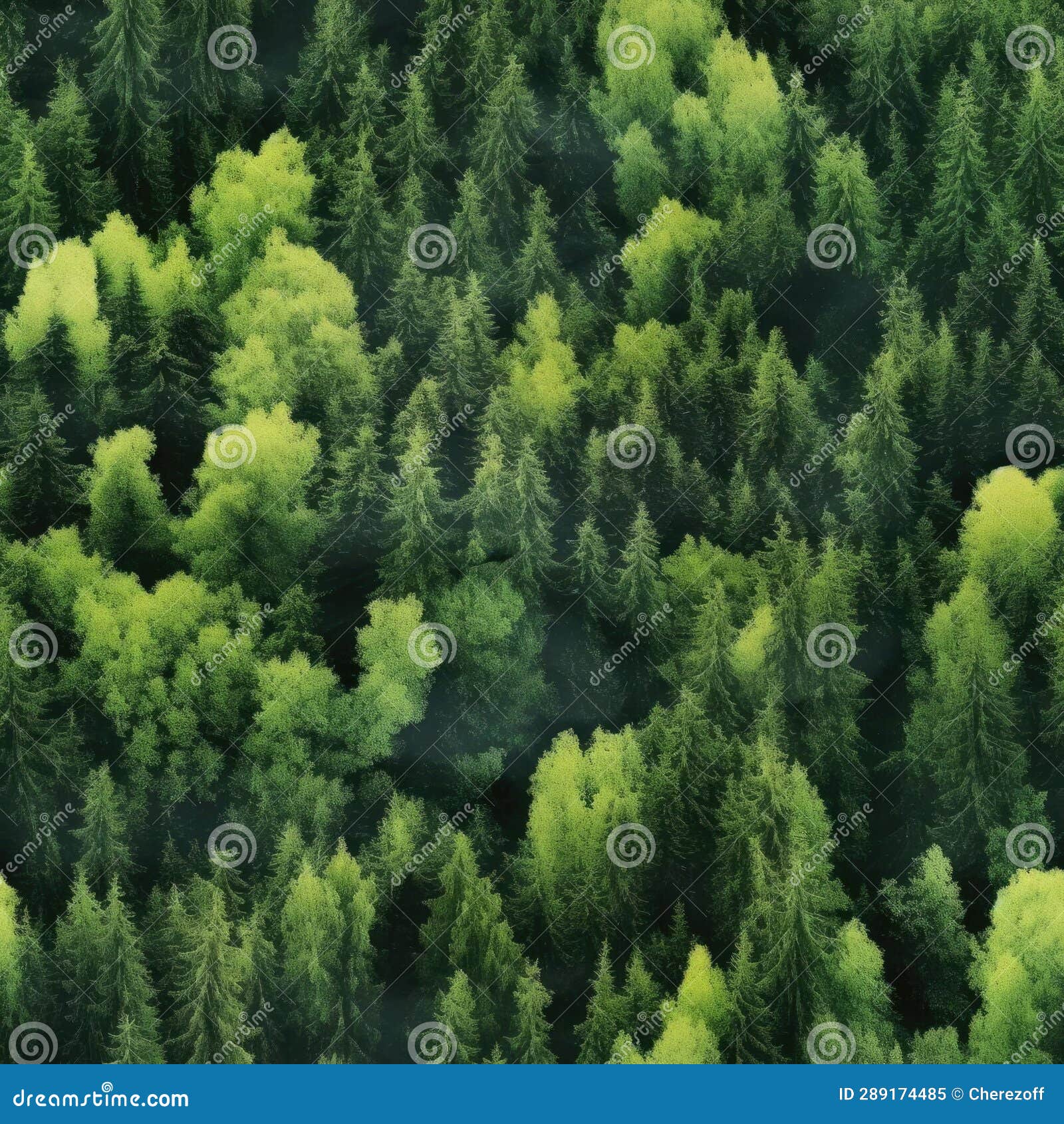 Top View of the Green Forest Stock Illustration - Illustration of ...