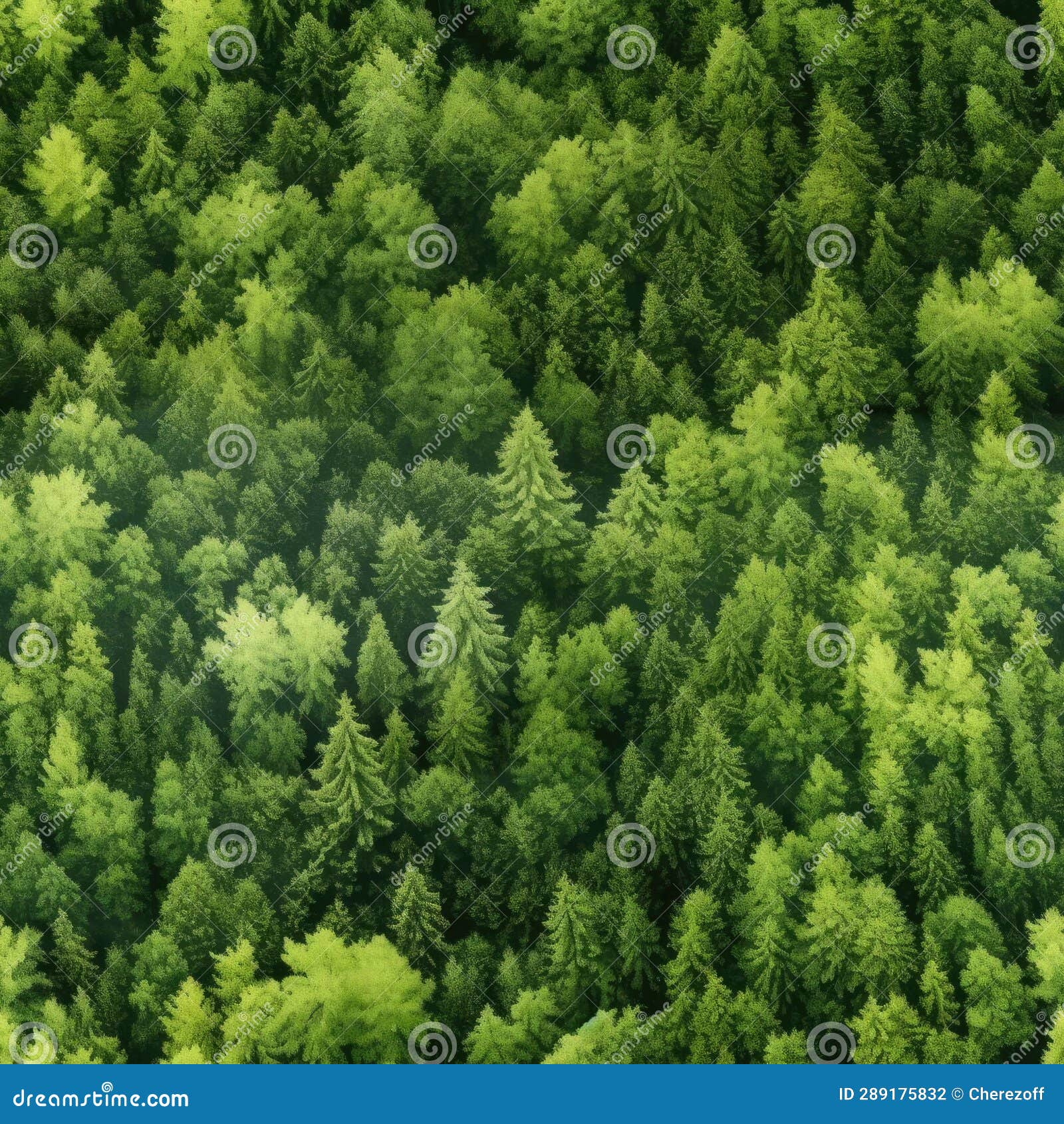 Top View of the Green Forest Stock Photo - Image of outdoor, view ...