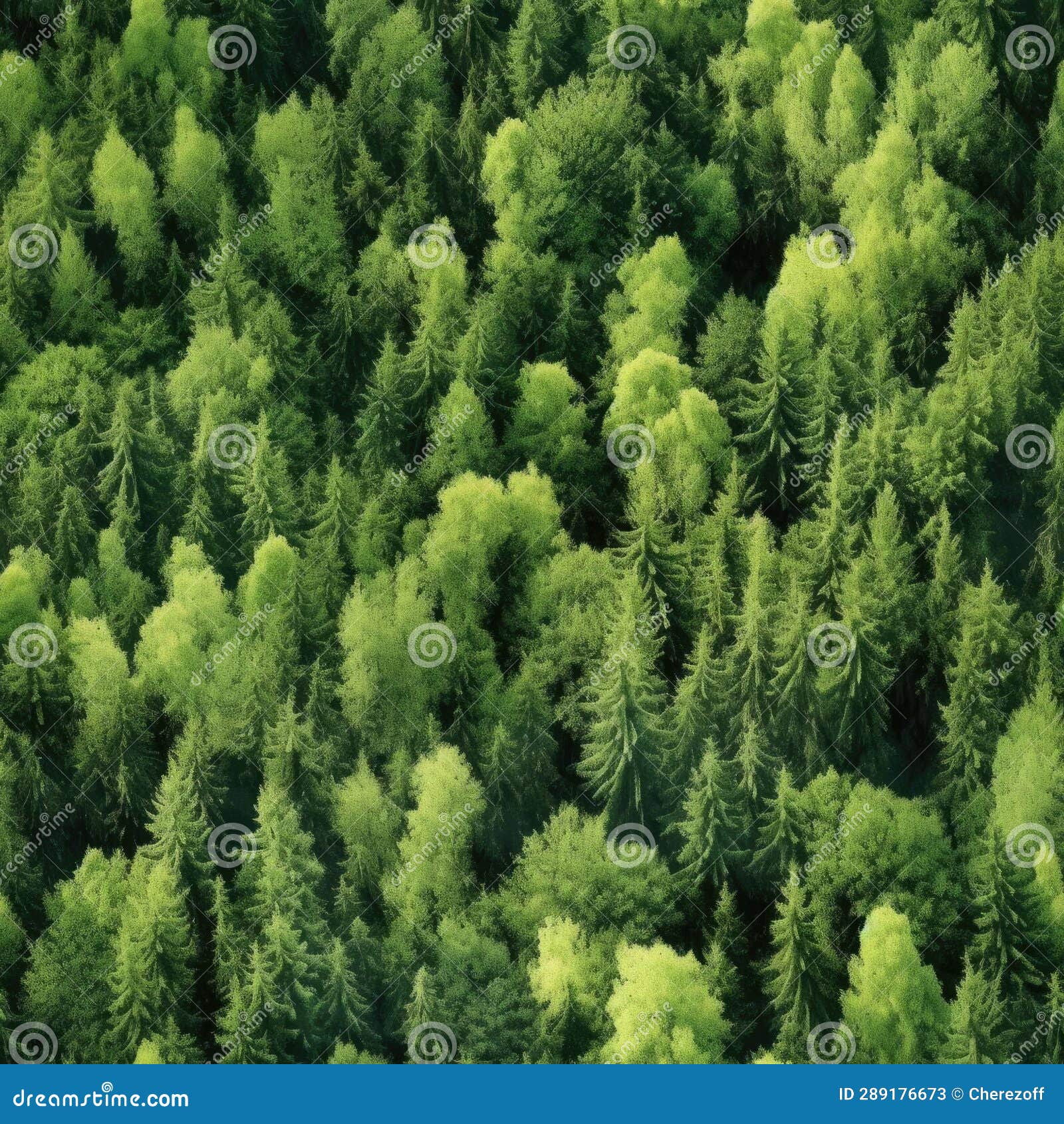 Top View of the Green Forest Stock Image - Image of tiled, trees: 289176673