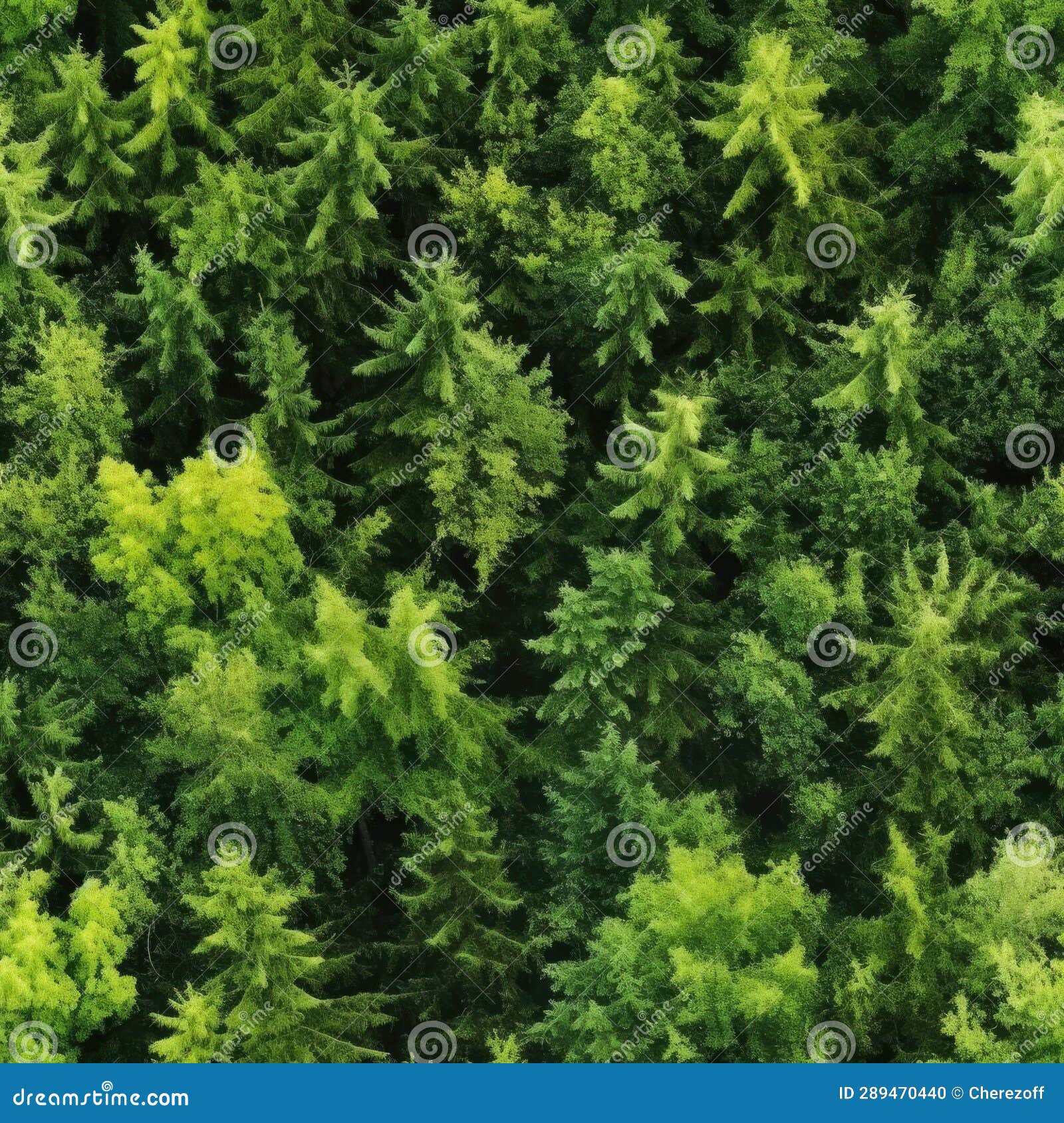 Top View of the Green Forest Stock Photo - Image of seamless, pattern ...