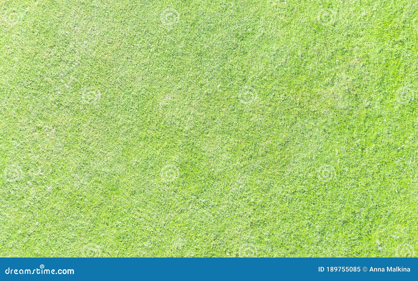 Top View of Green Fresh Summer Lawn. Aerial View from the Drone. Green ...