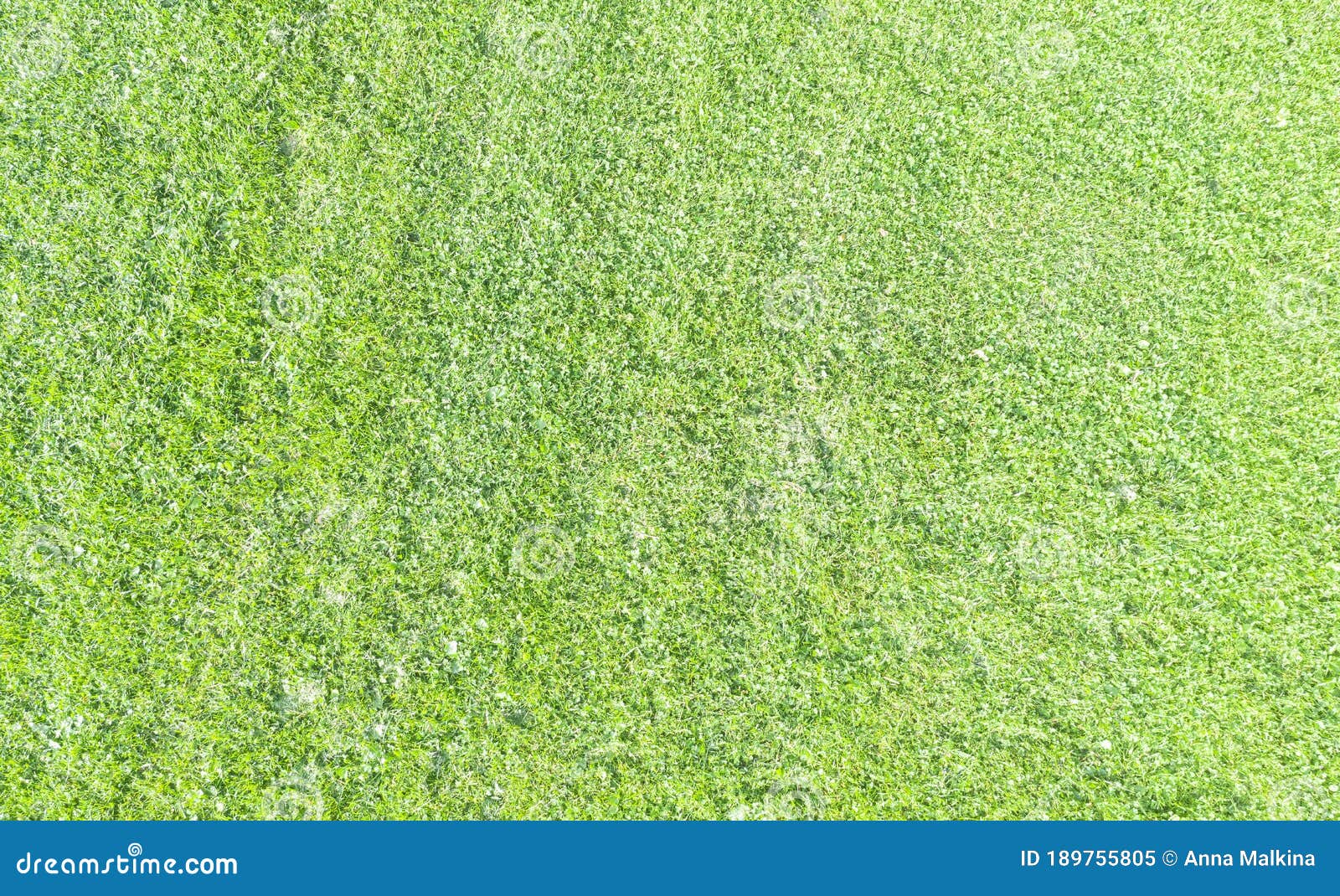 Top View of Green Fresh Summer Lawn. Aerial View from the Drone. Green ...