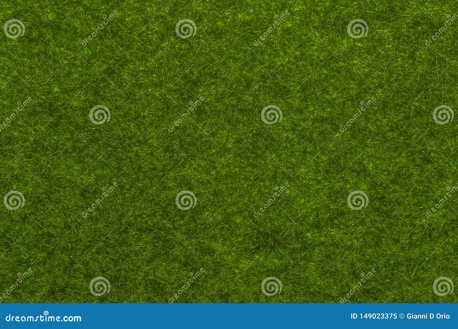 Top View Green Grass Background Stock Image - Image of space ...