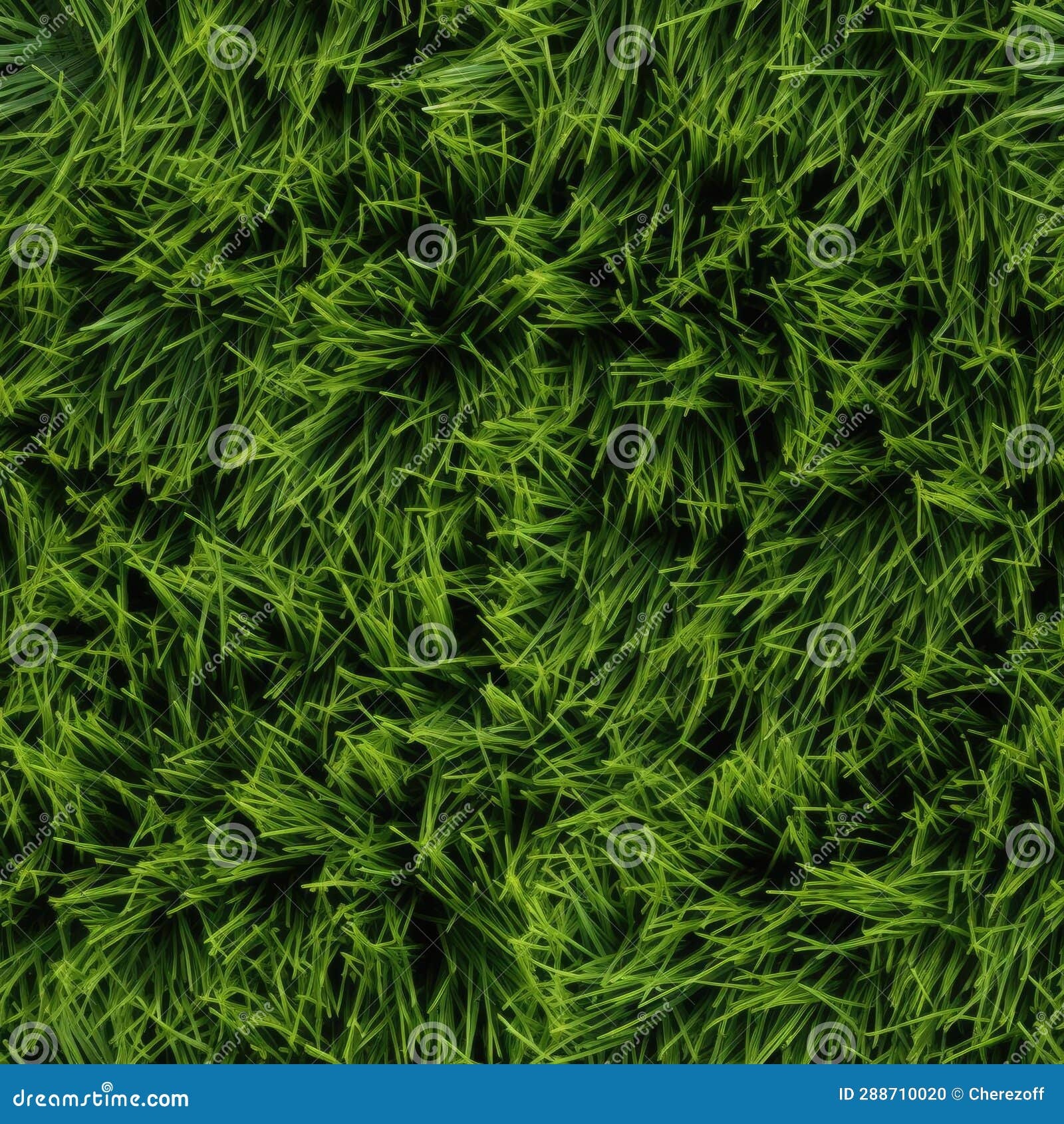 Grass Top View, Seamless Texture Stock Photo - Image of texture, ground ...