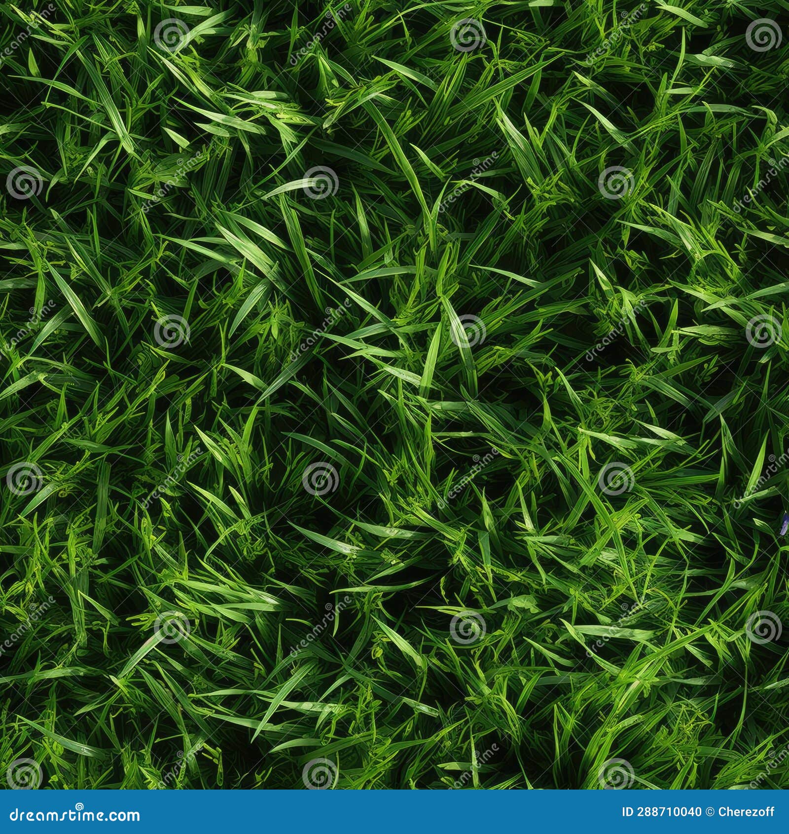 Grass Top View, Seamless Texture Stock Photo - Image of view, synthetic ...