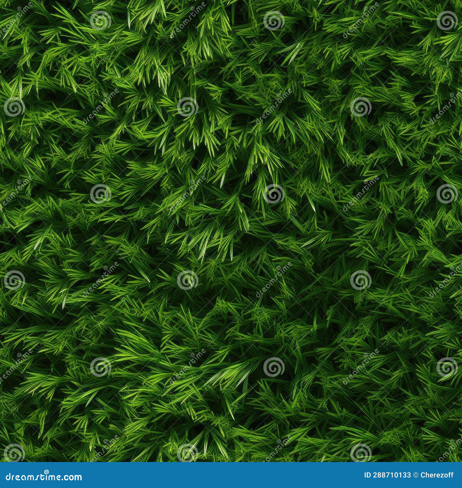 Grass Top View, Seamless Texture Stock Image - Image of abstract ...