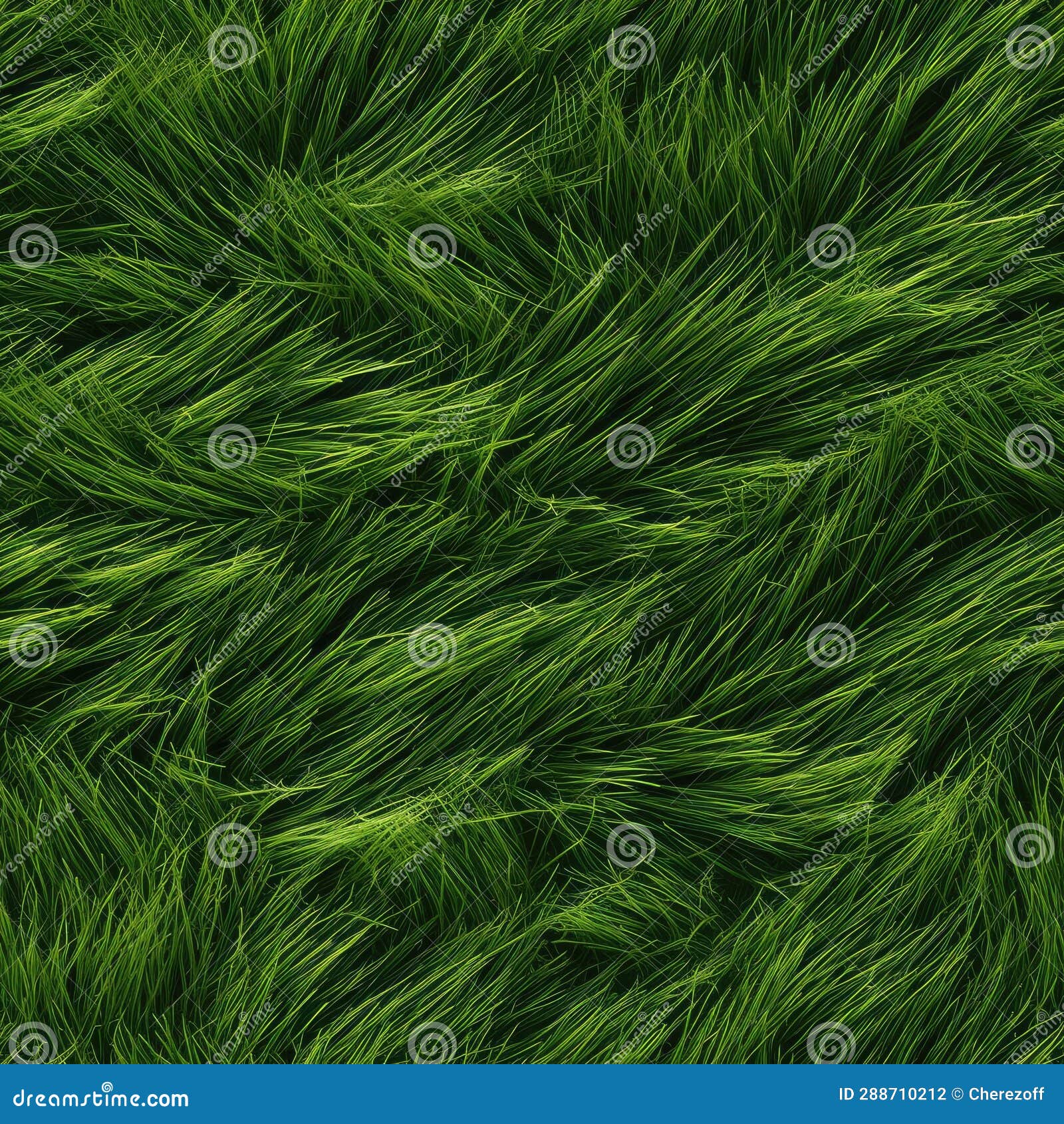 Grass Top View, Seamless Texture Stock Photo - Image of carpet, park ...
